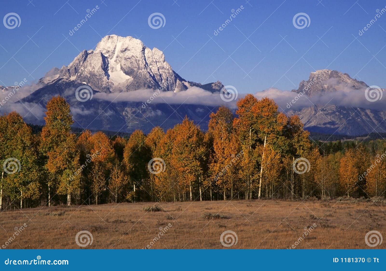 Mount Moran stock photo. Image of forest, land, colorful - 1181370