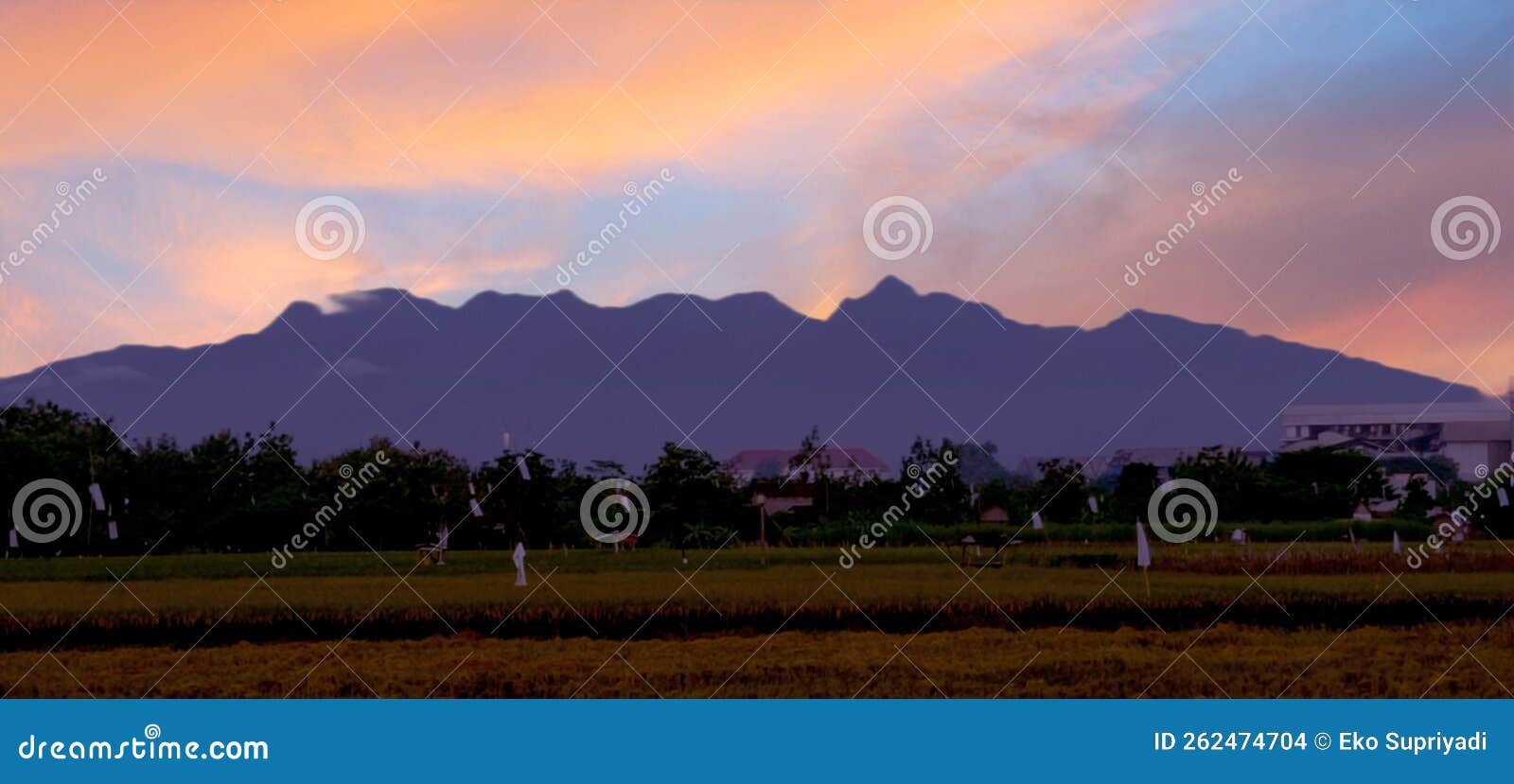 Mount Muria is One of the Mountains in Indonesia, Precisely on the ...