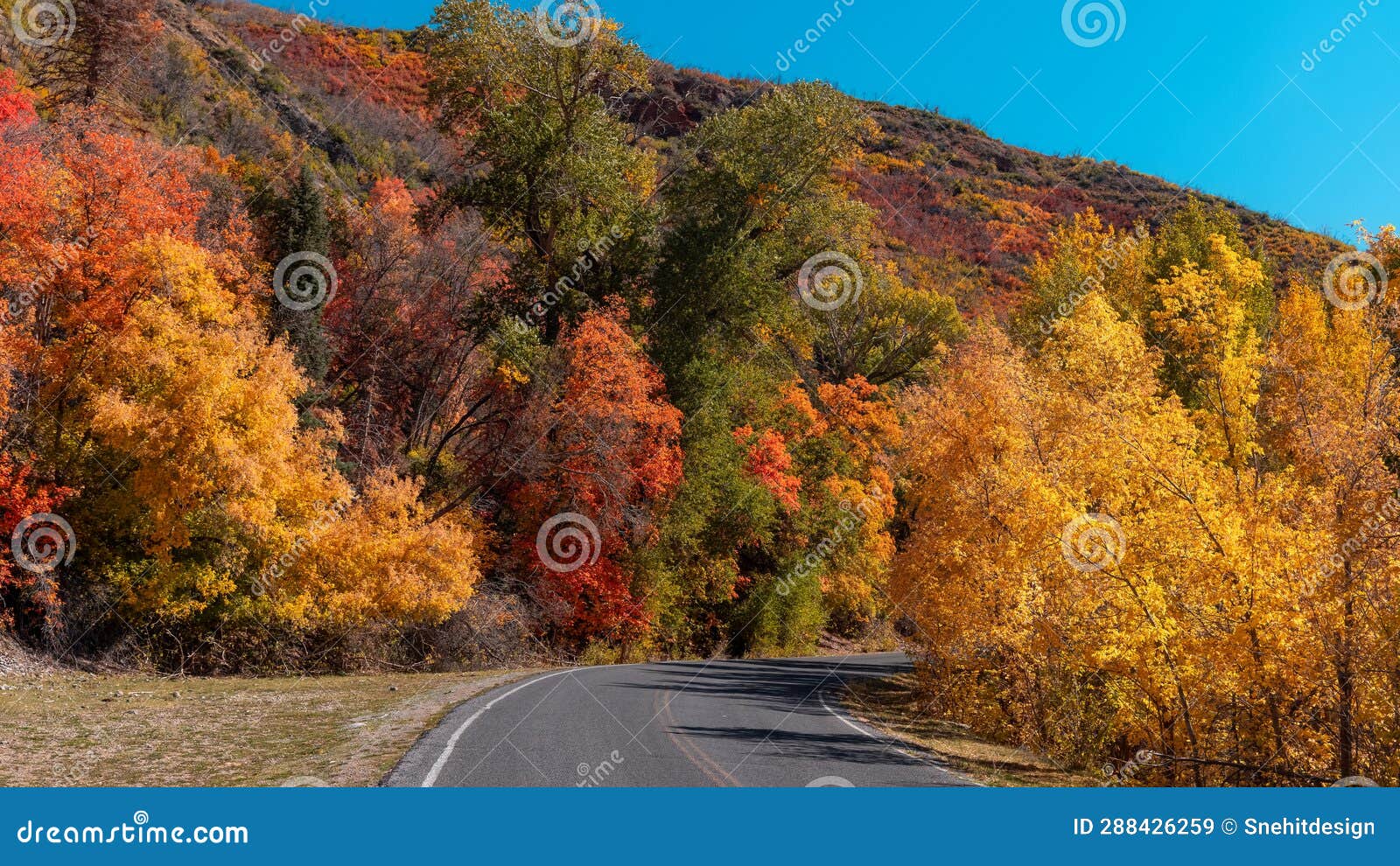 Mount Nebo Loop in Utah Surrounded with Colorful Fall Foliage Stock ...