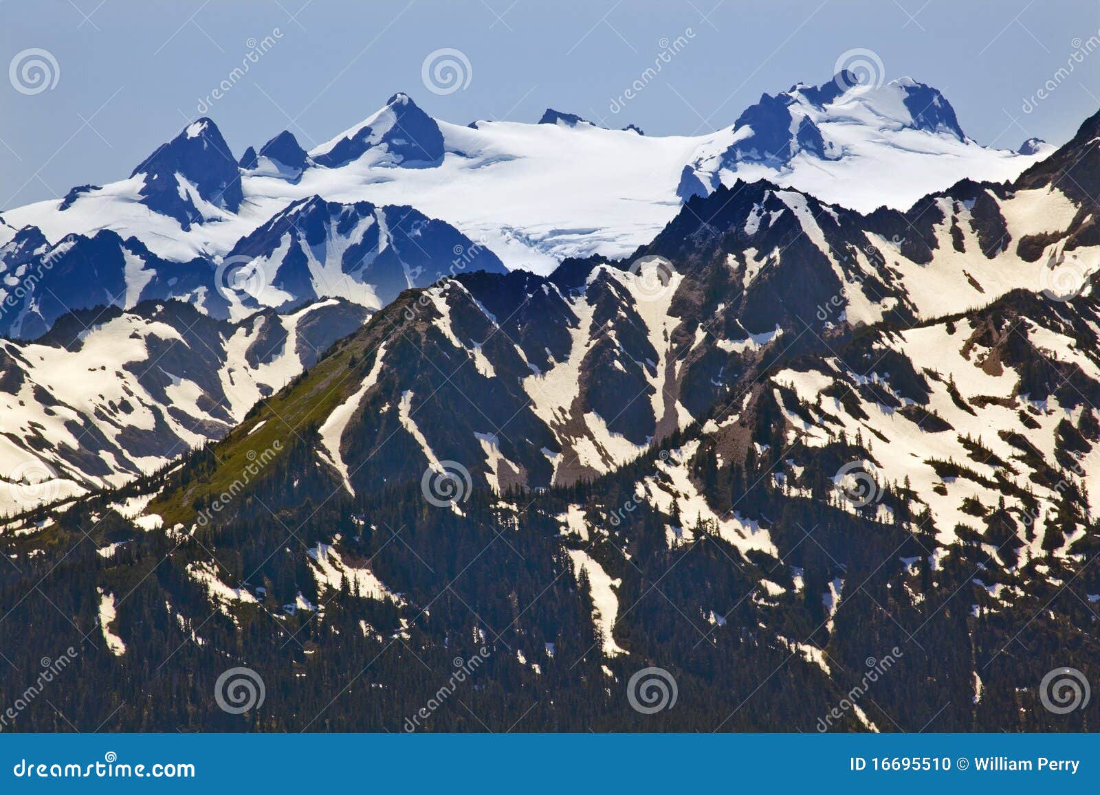 Mount Olympus Snow Mountains Hurricane Ridge Stock Photo - Image of ...