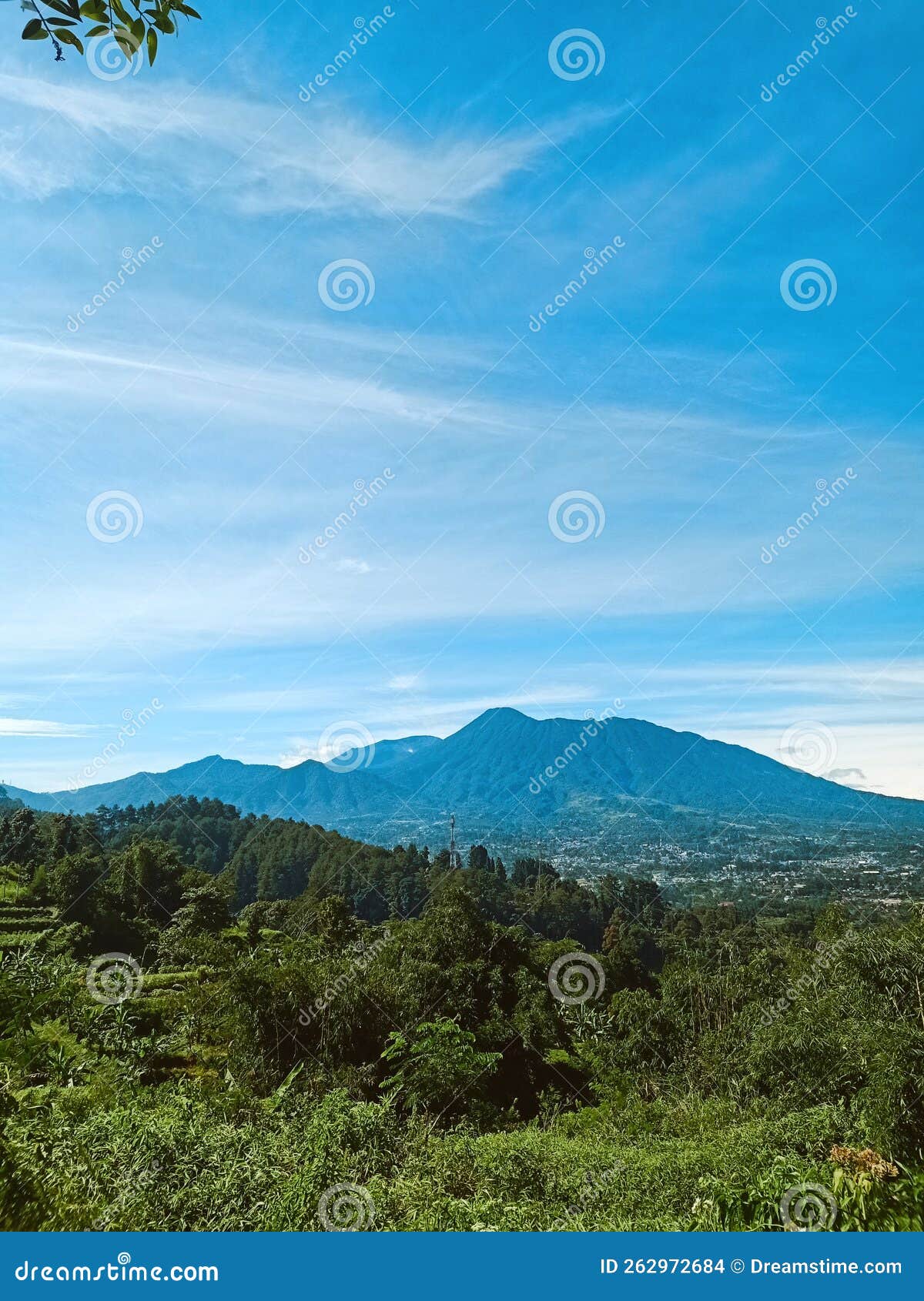 Mount Pangrango is One of the Most Beautiful Mountains in West Java ...
