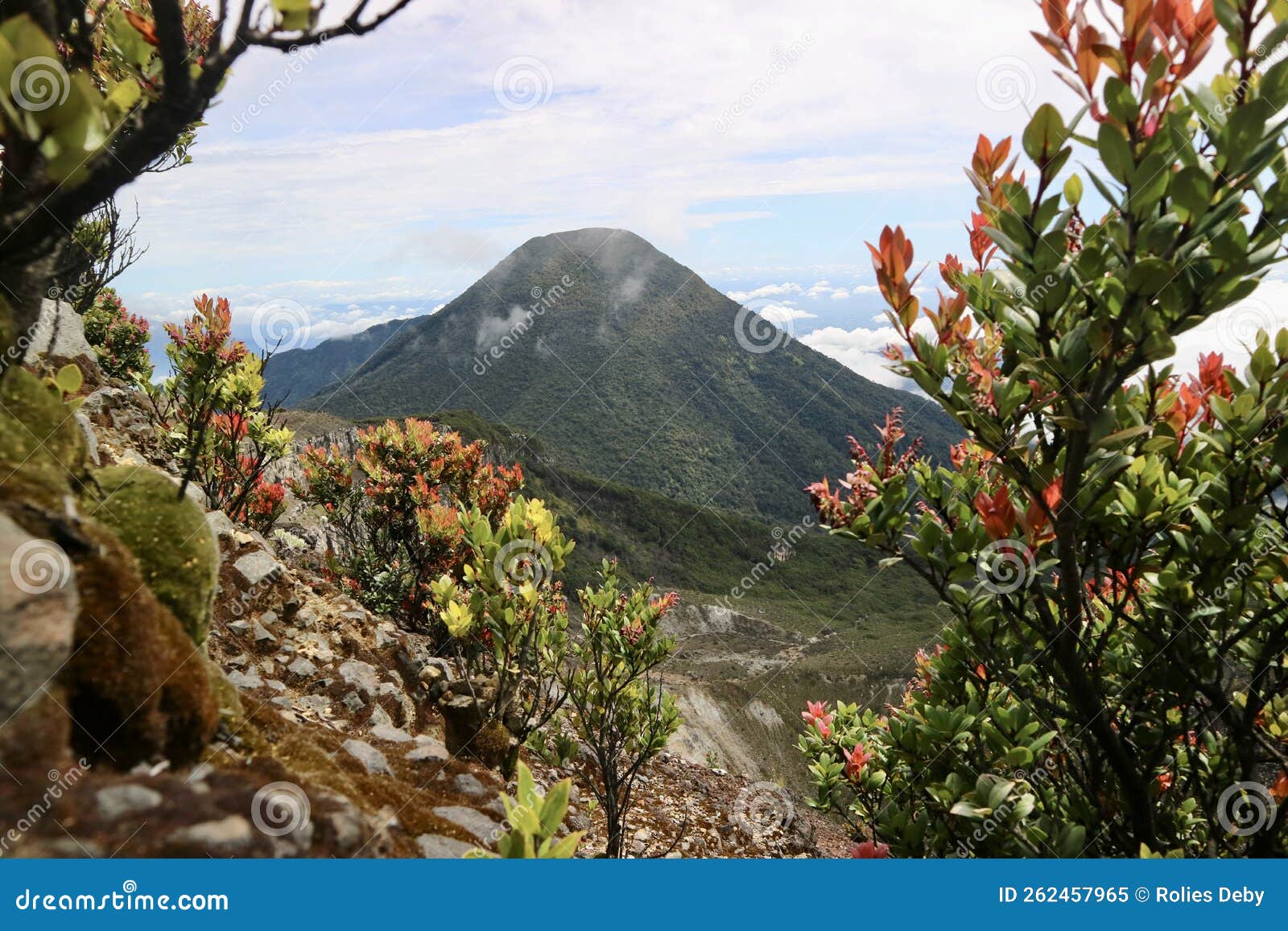 Mount Pangrango Peak West Java Indonesia Stock Image - Image of ...