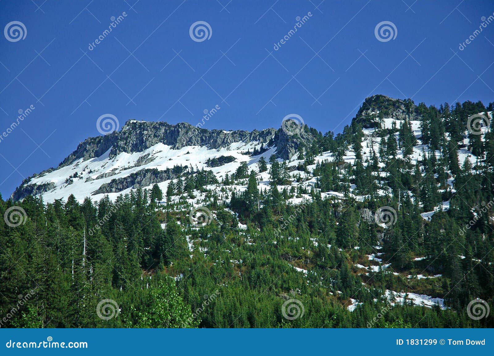 Mount Pilchuck stock image. Image of snow, slope, peak - 1831299