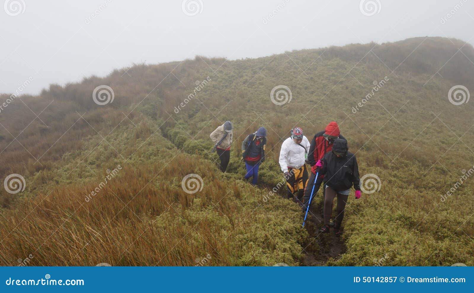 Mount Pulag Summit Trail editorial photography. Image of adventure ...