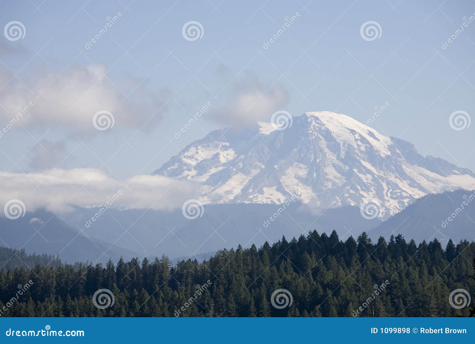 Mount Rainer stock photo. Image of forested, gifford, scenic - 1099898