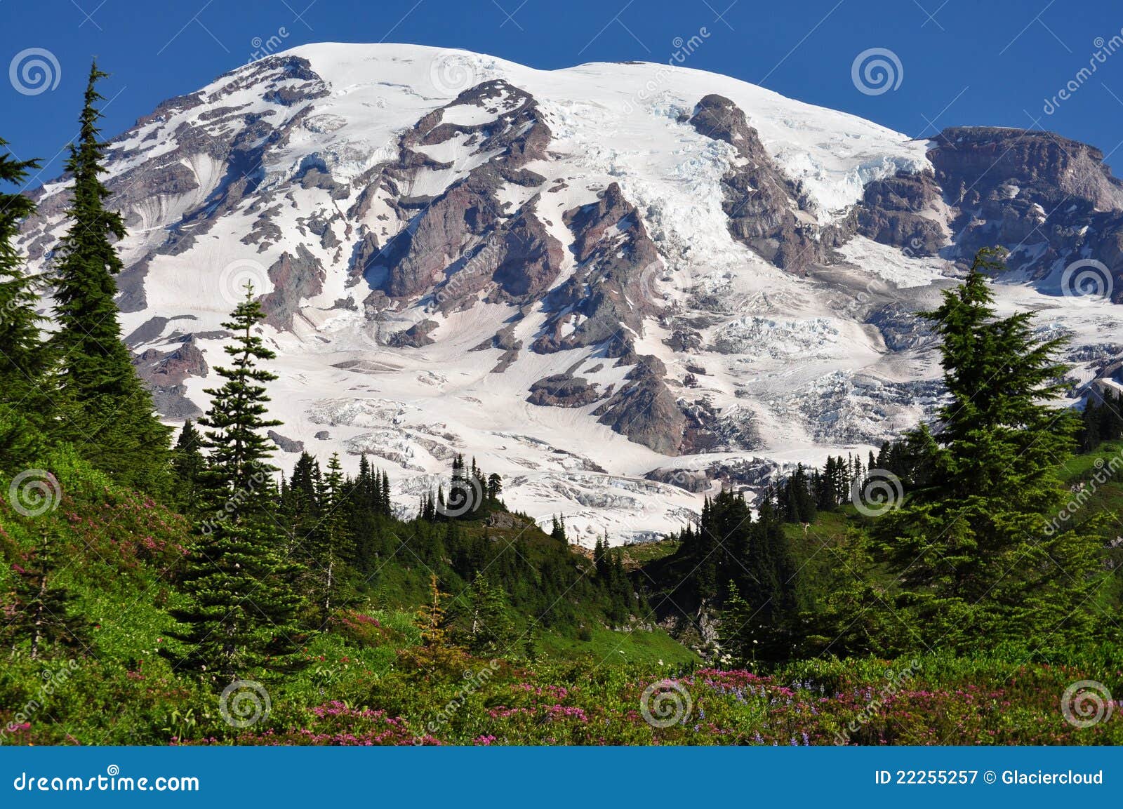 Mount Rainer stock image. Image of mountain, rocks, trees - 22255257