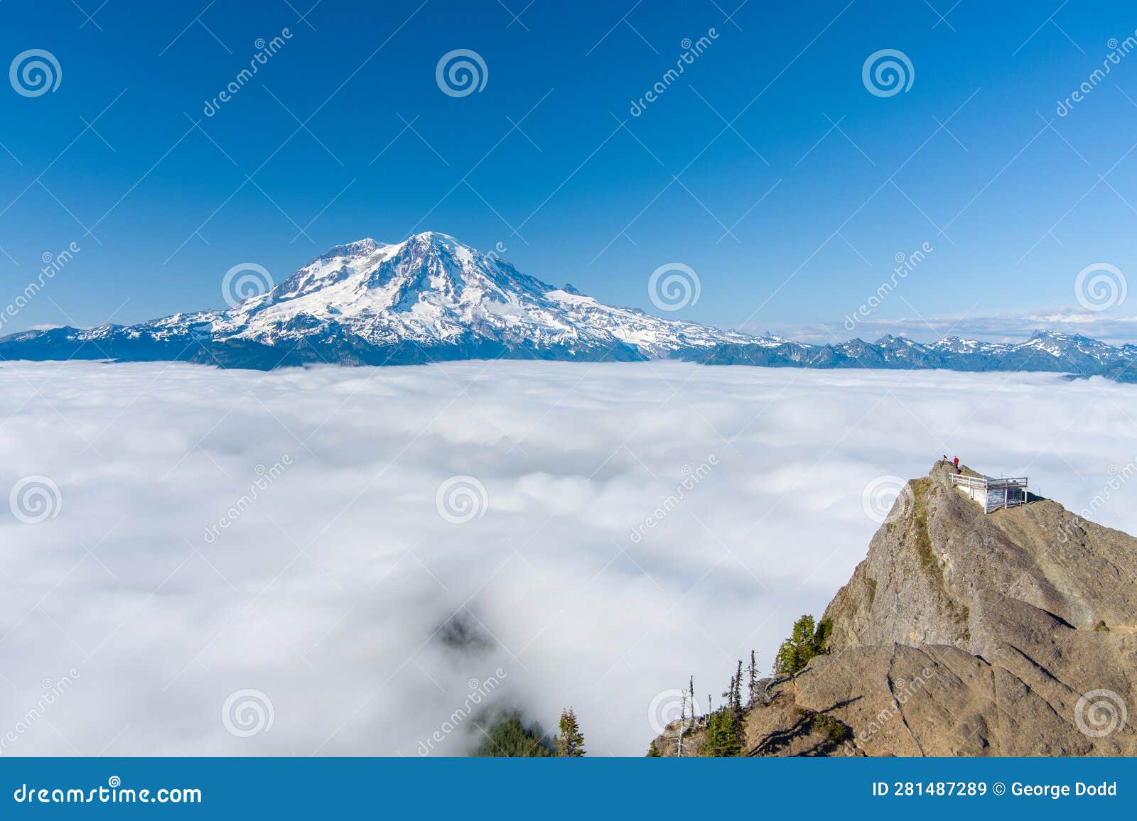 Mount Rainier Above the Clouds from High Rock Lookout in June Stock ...