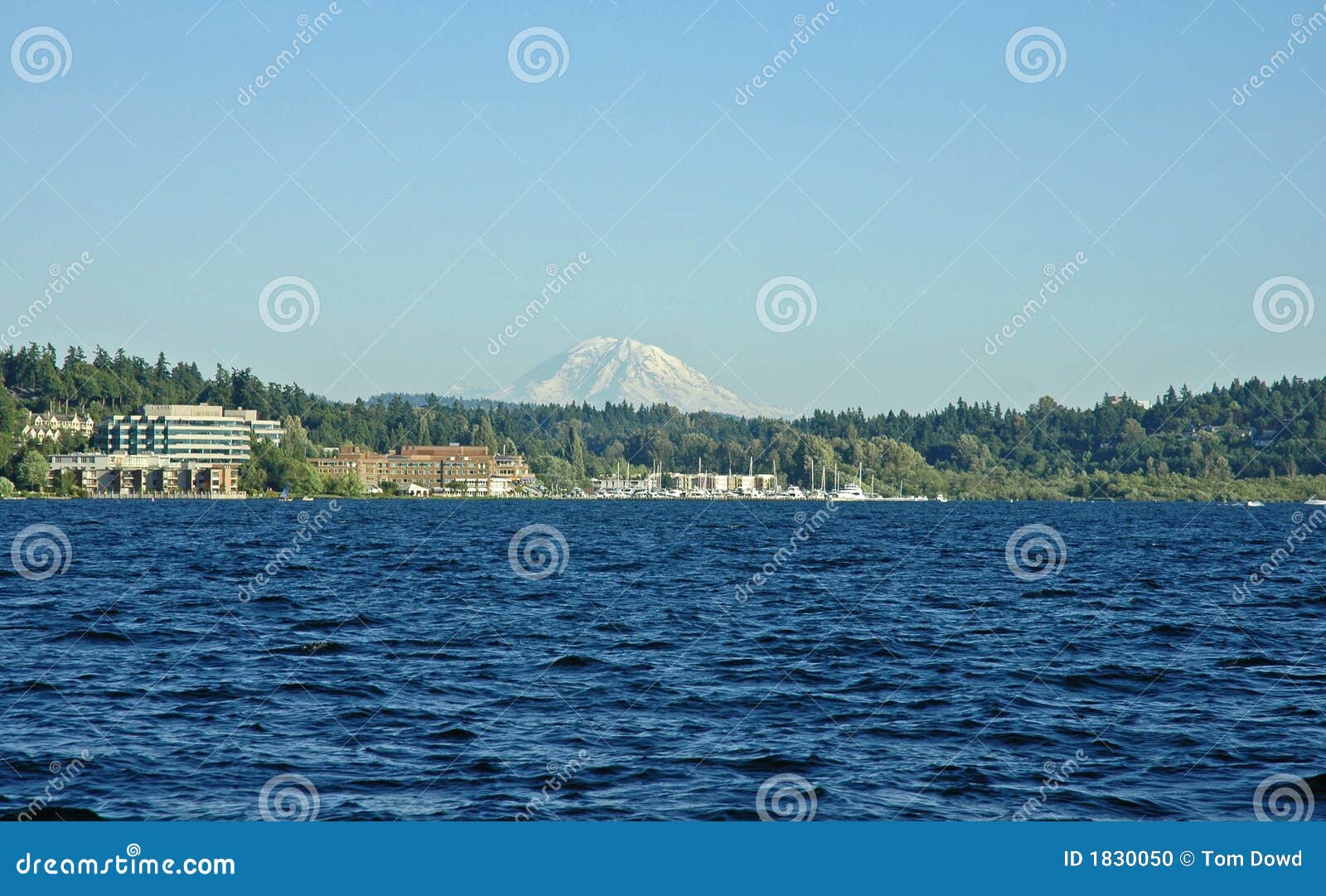 Mount Rainier and Carillon Point Stock Photo - Image of kirkland, blue ...
