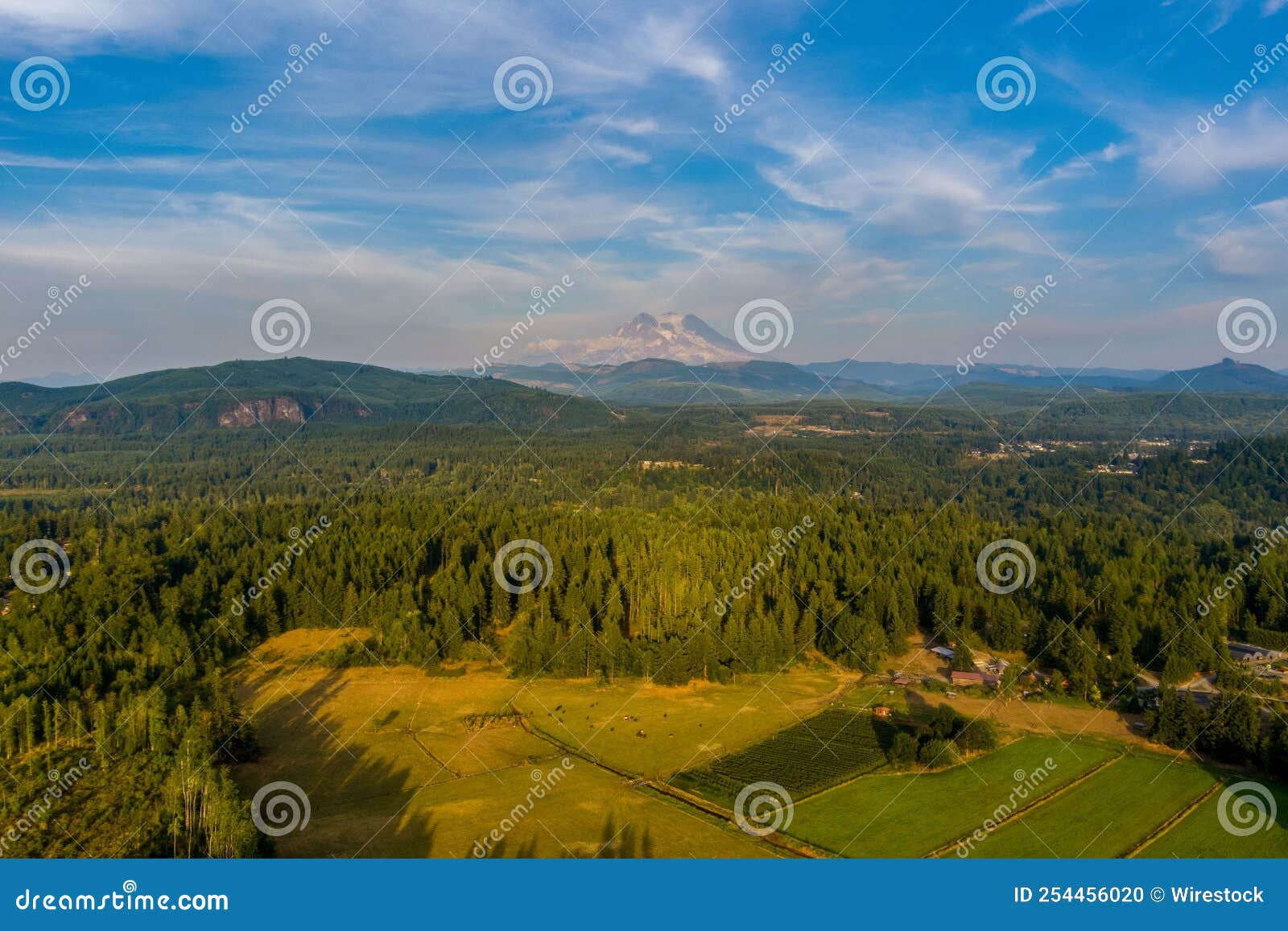 Mount Rainier on the Horizon in August Stock Photo - Image of scenic ...