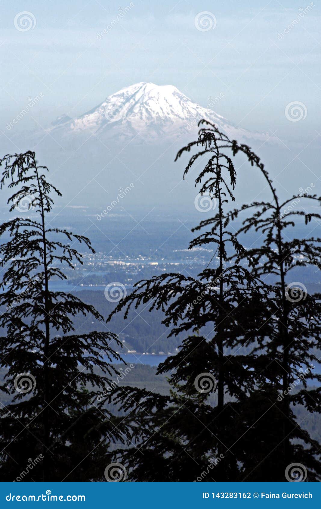Mount Rainier through the Clouds and Forest. Stock Photo - Image of ...