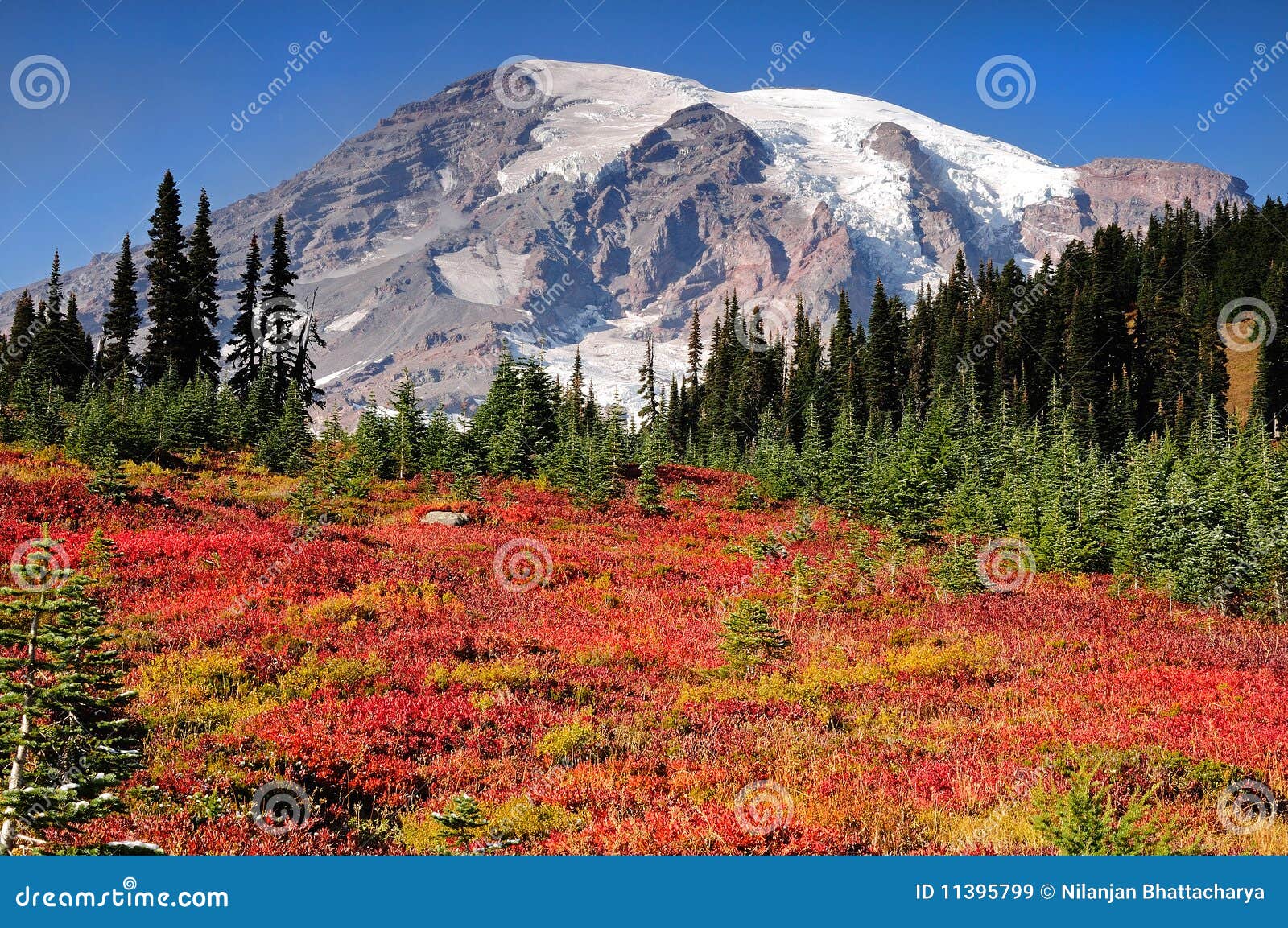 Mount Rainier At Sunrise In Mount Rainier National Park Stock ...