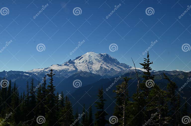 Mount Rainier with Forest in Front Green and Snow Stock Photo - Image ...