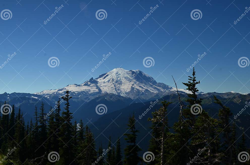 Mount Rainier with Forest in Front Green and Snow Stock Photo - Image ...