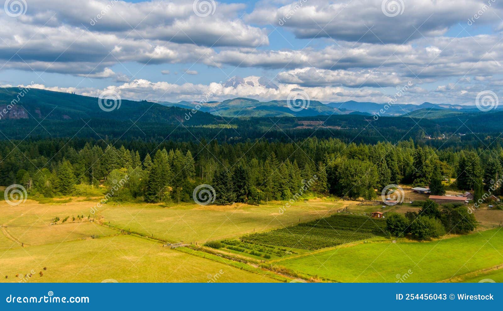 Mount Rainier on the Horizon in August Stock Image - Image of drone ...