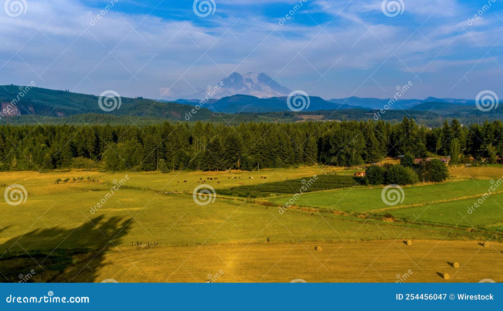 Mount Rainier on the Horizon in August Stock Image - Image of rainier ...