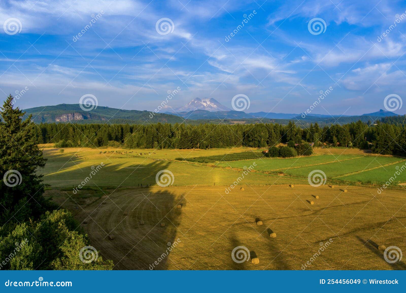 Mount Rainier on the Horizon in August Stock Image - Image of mountains ...