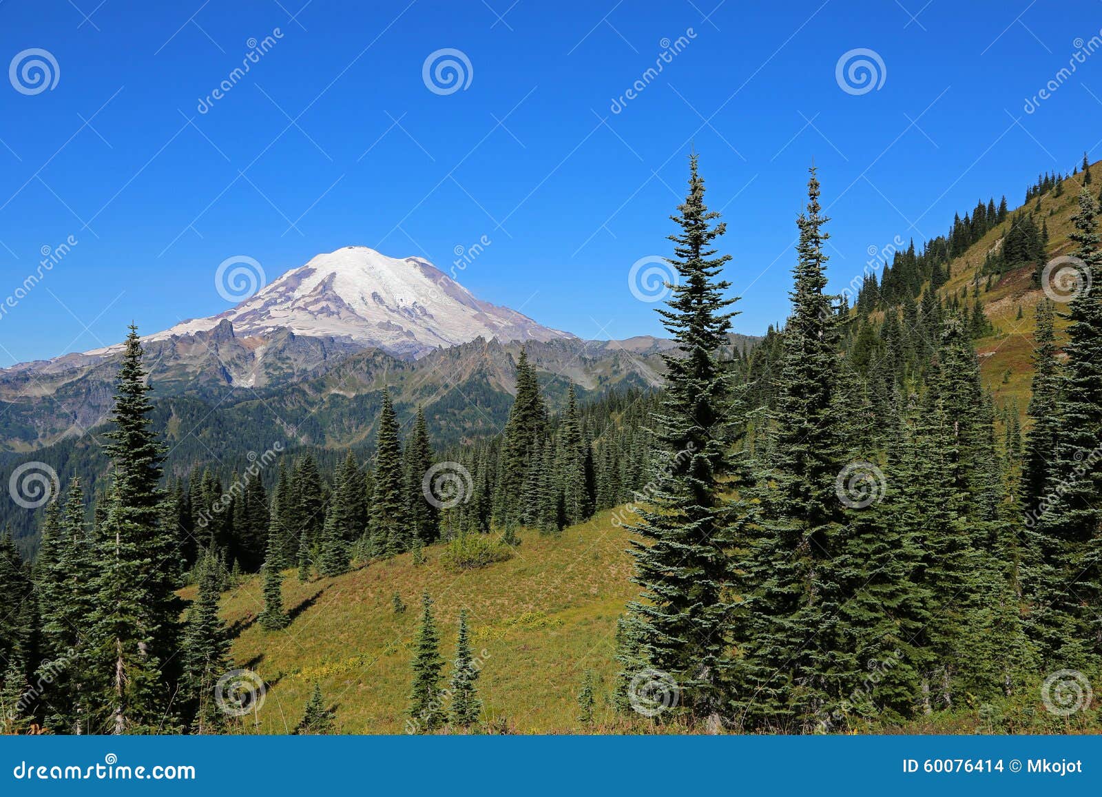 Mount Rainier from Naches Pass Trail Stock Photo - Image of cliffs ...