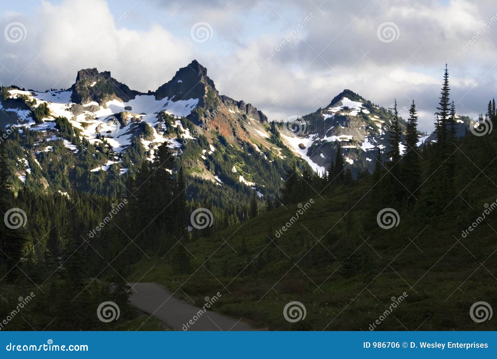 Mount Rainier National Park Stock Photo - Image of highway, landscape ...