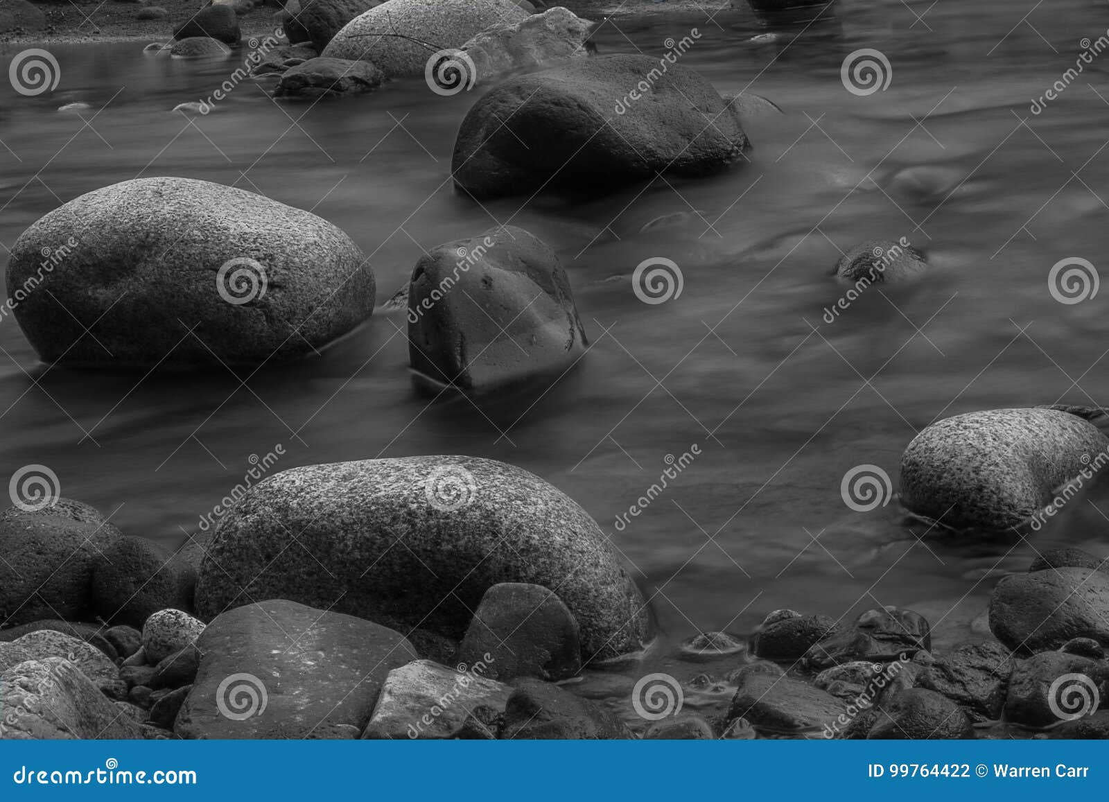 Mount Rainier River Over Rocks Stock Photo - Image of park, flow: 99764422