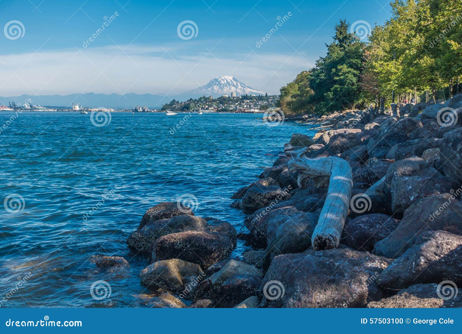 Mount Rainier from Ruston stock photo. Image of landscape - 57503100