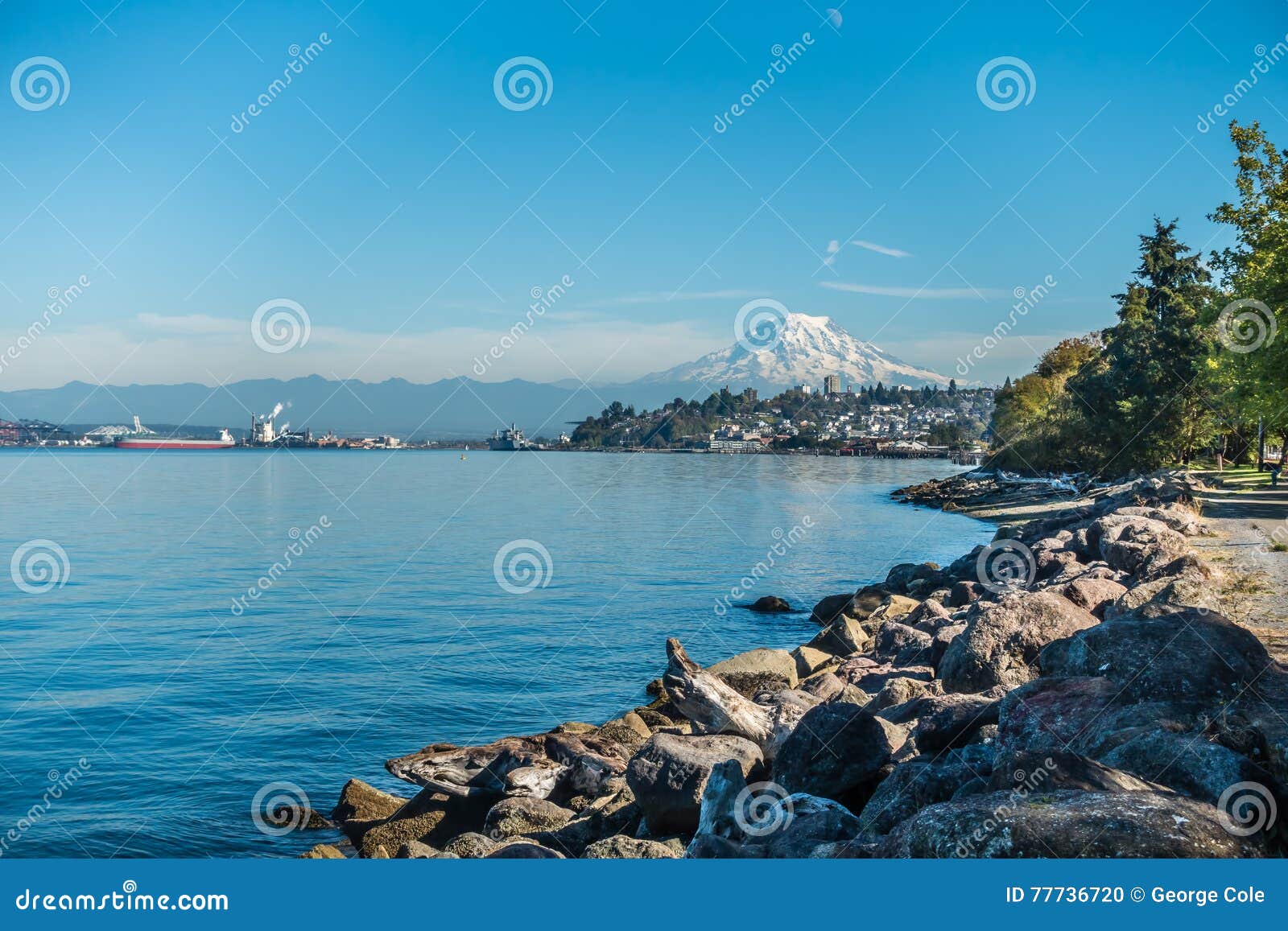 Mount Rainier from Ruston stock photo. Image of tacoma - 77736720