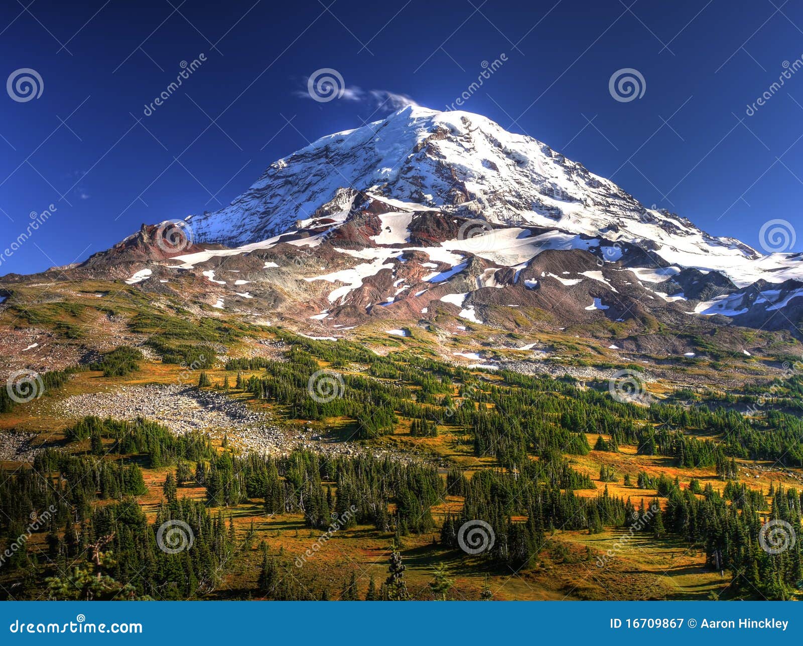 Mount Rainier At Sunrise In Mount Rainier National Park Stock ...