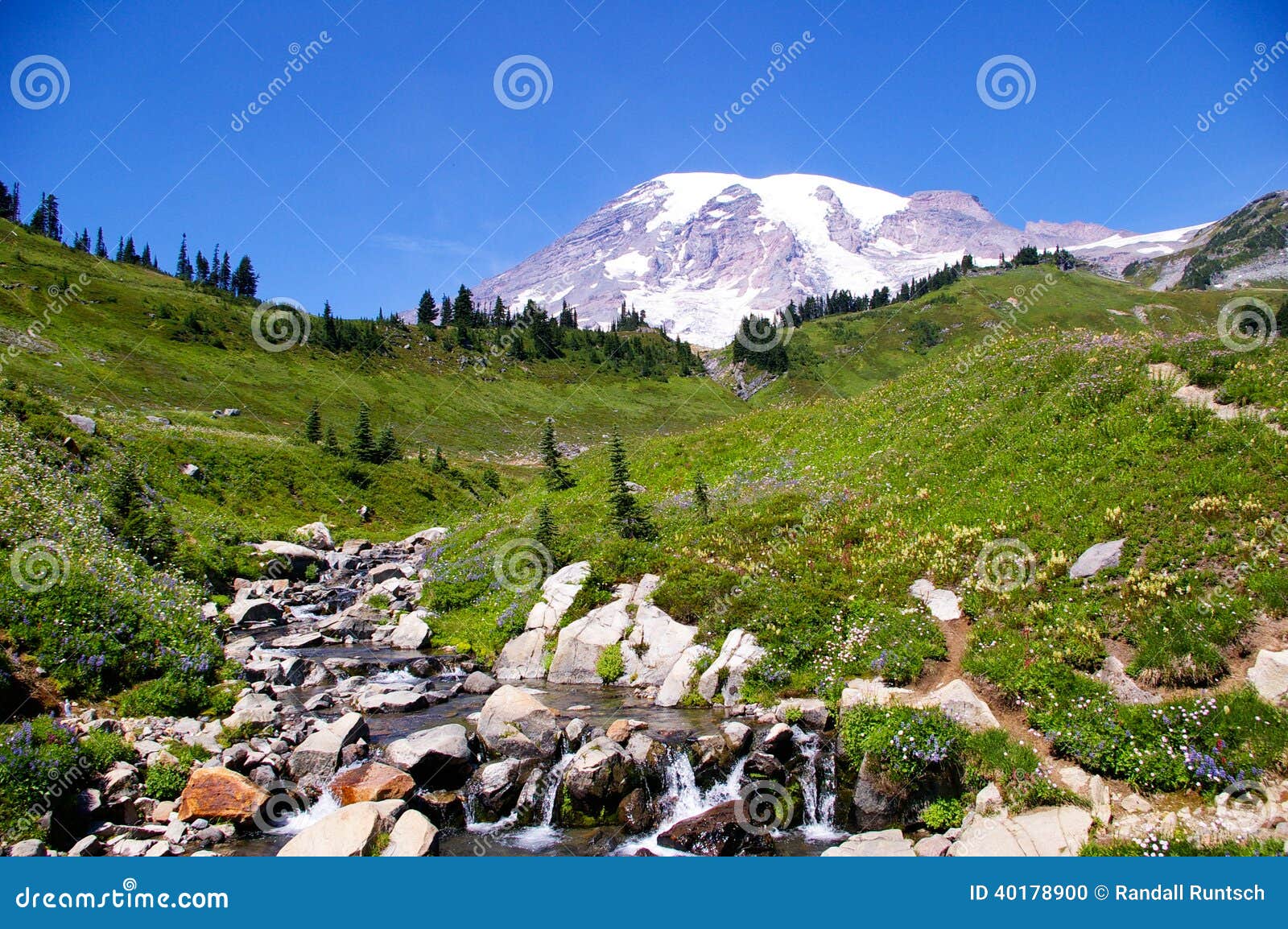 Mount Rainier stock photo. Image of cascaces, mount, mountain - 40178900