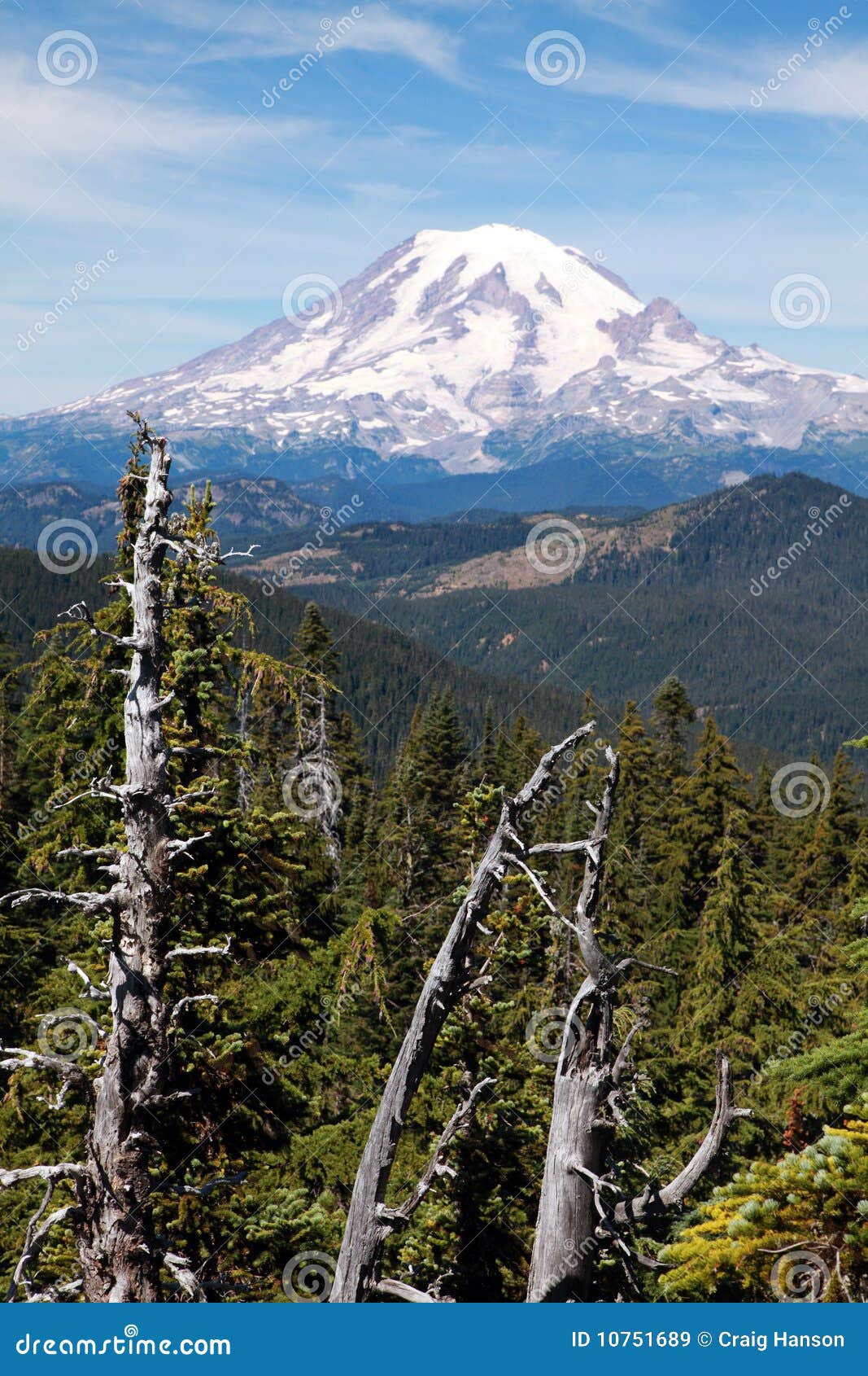 Mount Rainier with Trees stock image. Image of glacier - 10751689