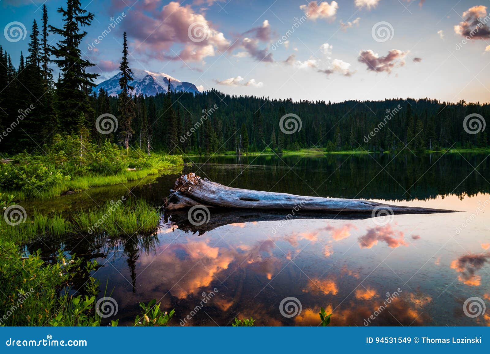 Mount ranier stock image. Image of washington, ranier - 94531549