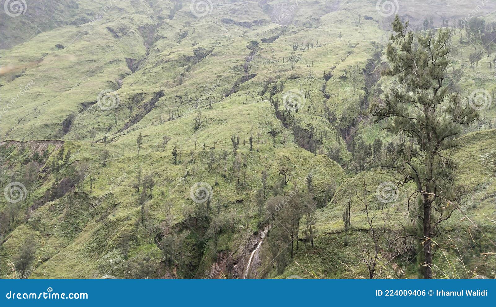 Mount Rinjani torean route stock photo. Image of mount - 224009406