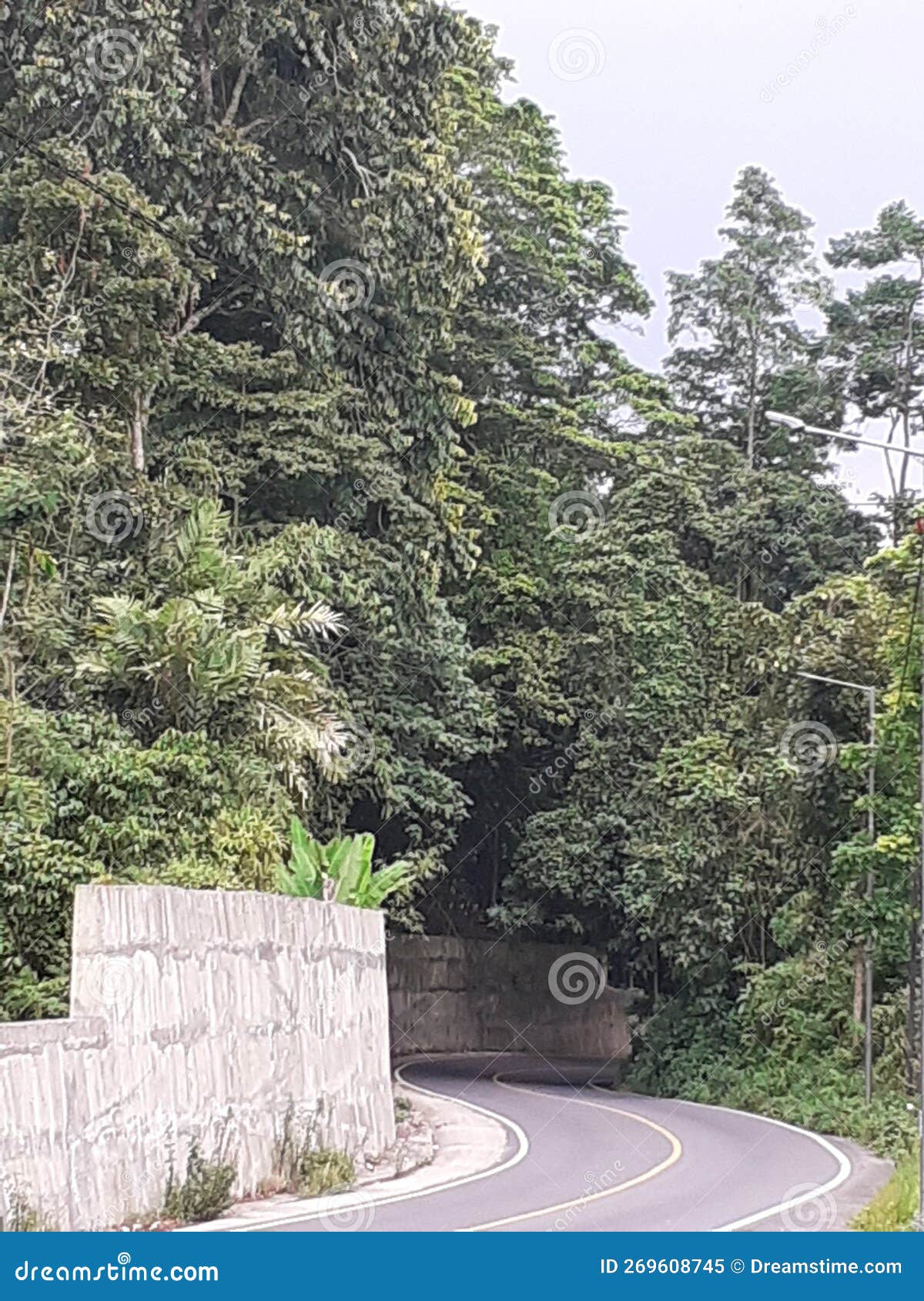 Mount Road Meandering Forest Stock Image - Image of yard, ruins: 269608745