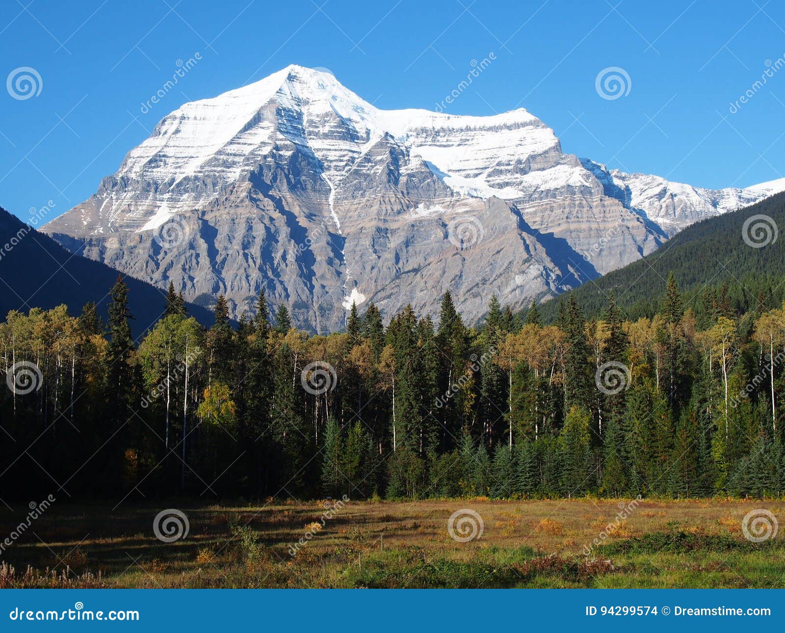 Mount Robson, Canada stock photo. Image of nature, park - 94299574