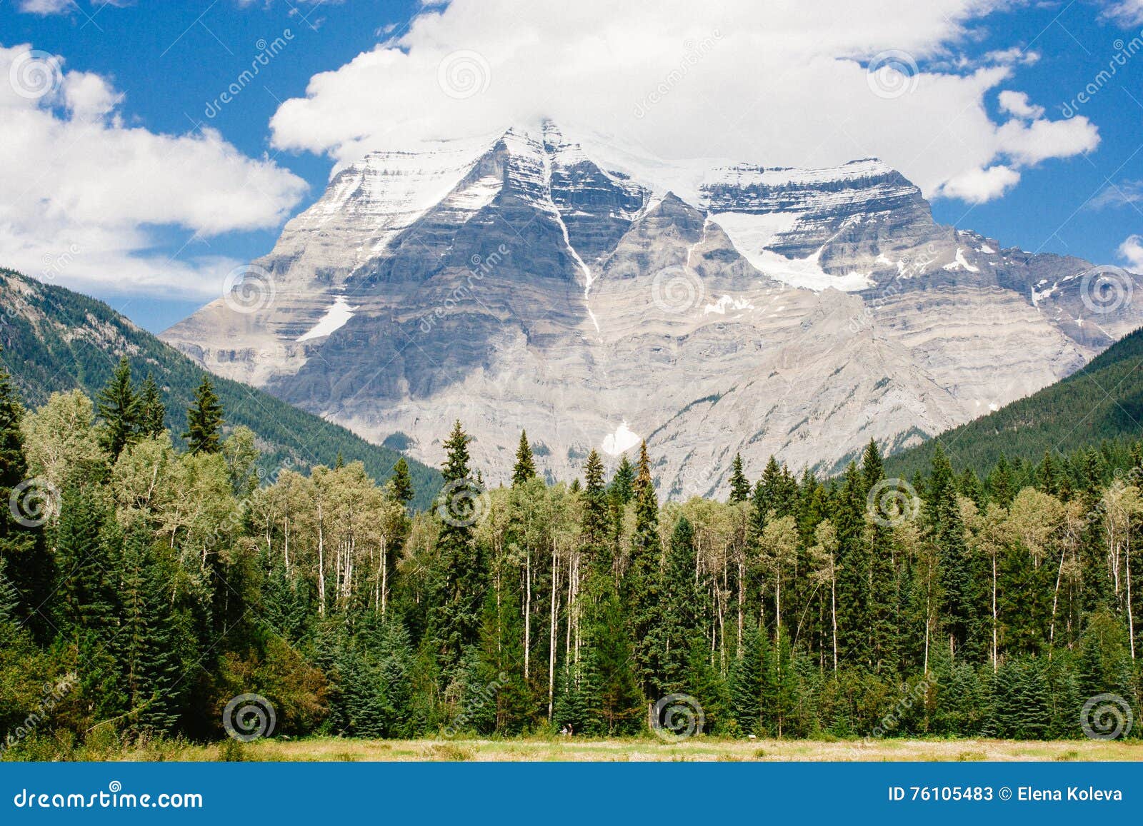 Mount Robson Towering Over Evergreen Forest Stock Image - Image of ...
