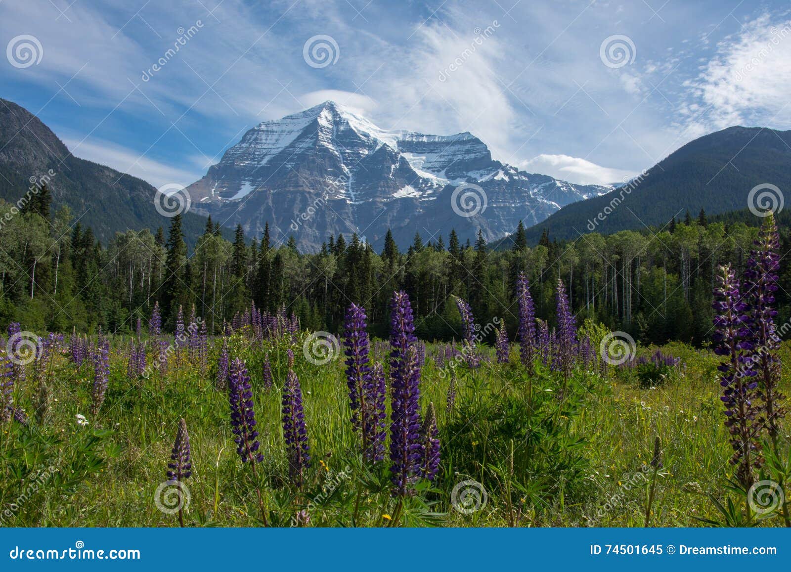 Mount Robson stock image. Image of landscape, park, canada - 74501645