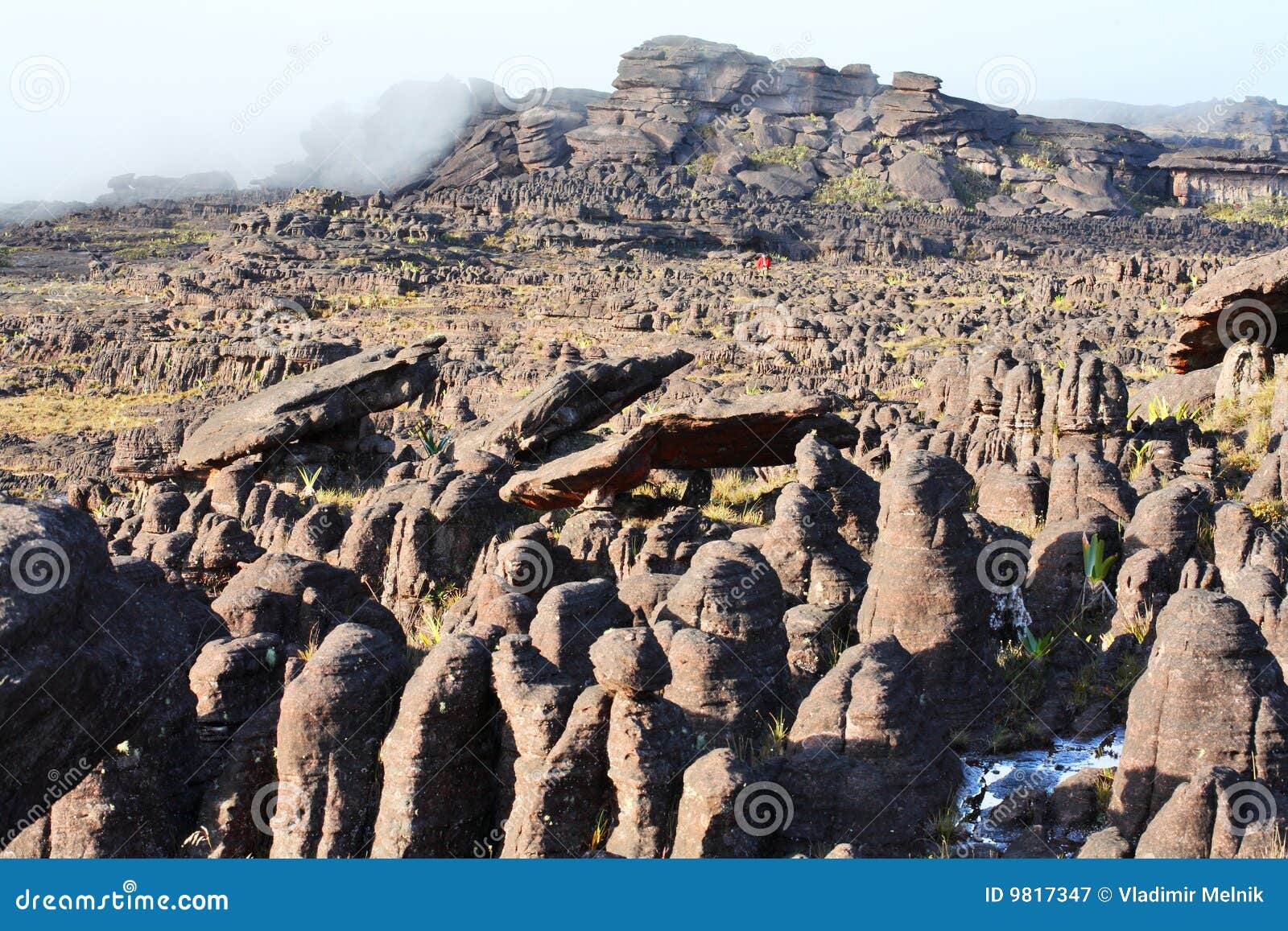 Mount Roraima landscape stock image. Image of unique, america - 9817347