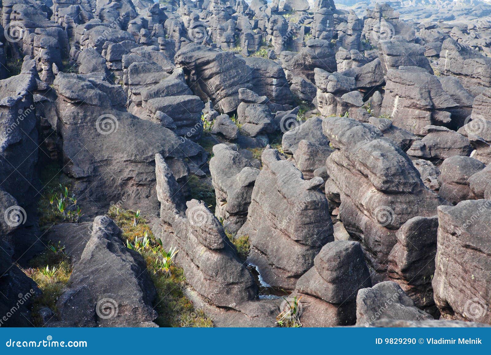 Mount Roraima landscape stock photo. Image of tepui, rocky - 9829290