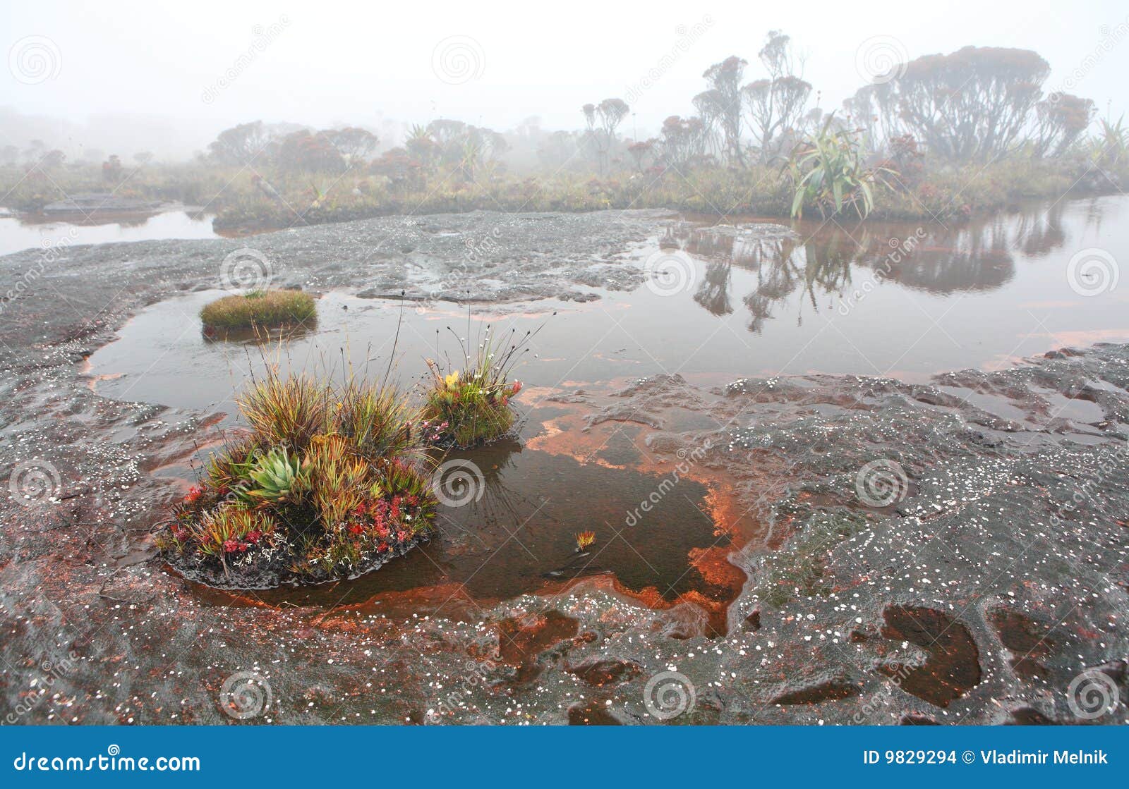 Mount Roraima landscape stock photo. Image of form, boulders - 9829294