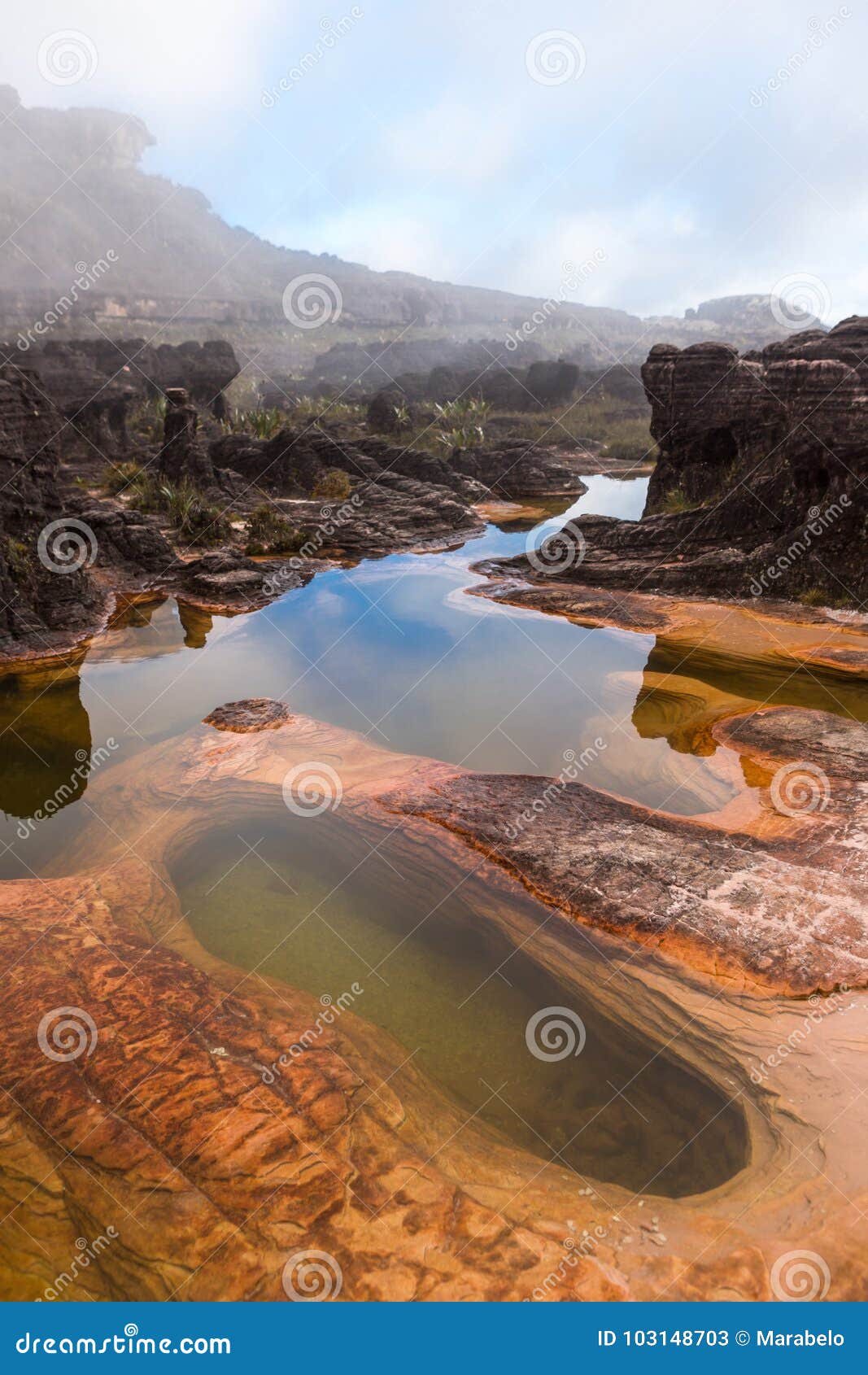 Mount Roraima stock image. Image of monte, cliff, plateau - 103148703