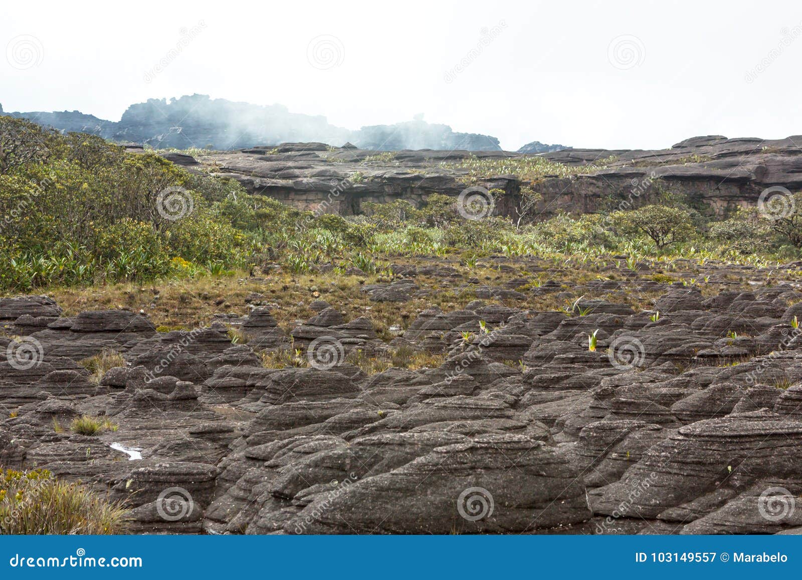 Mount Roraima stock image. Image of tepui, cliff, monte - 103149557