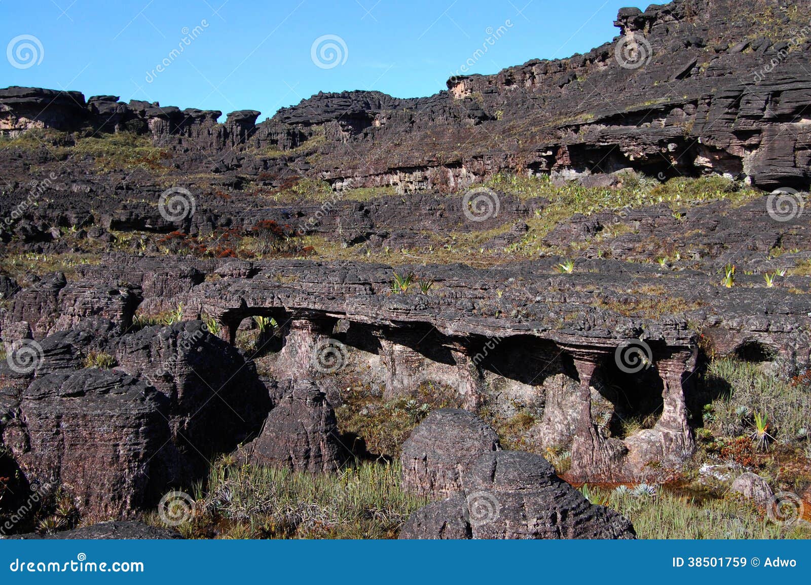 Mount Roraima - Venezuela stock image. Image of ground - 38501759