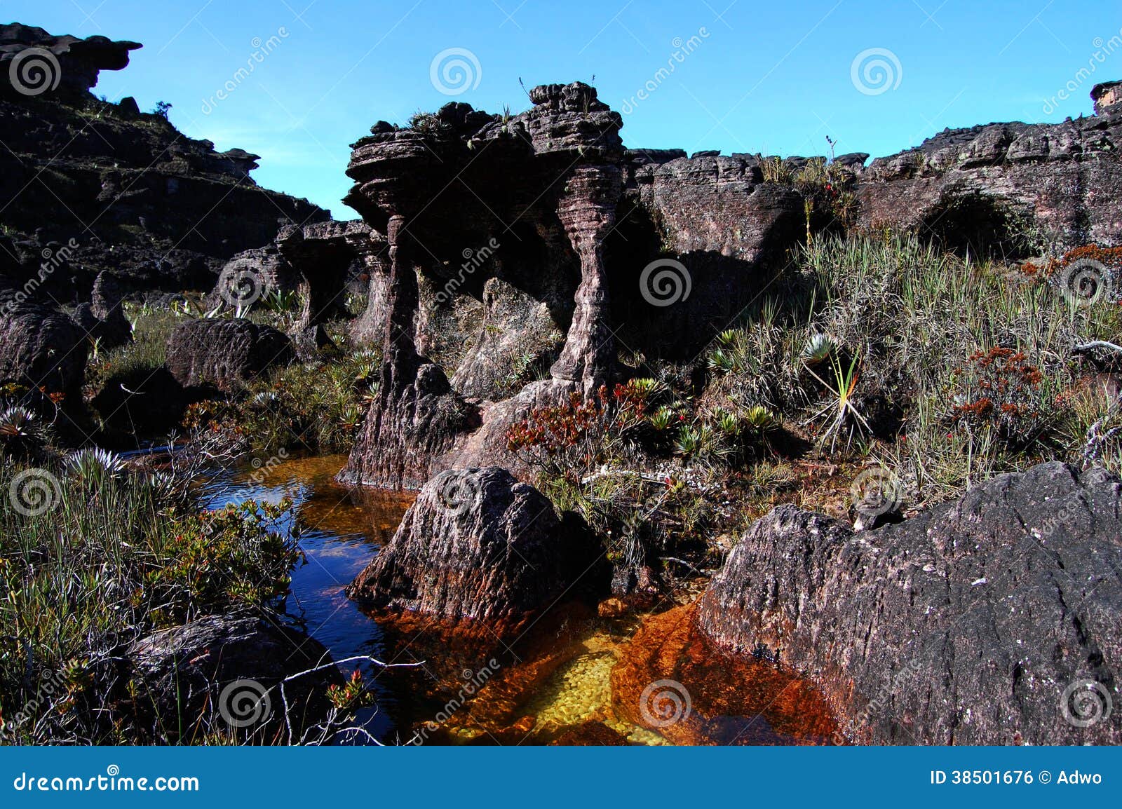Mount Roraima - Venezuela stock photo. Image of path - 38501676