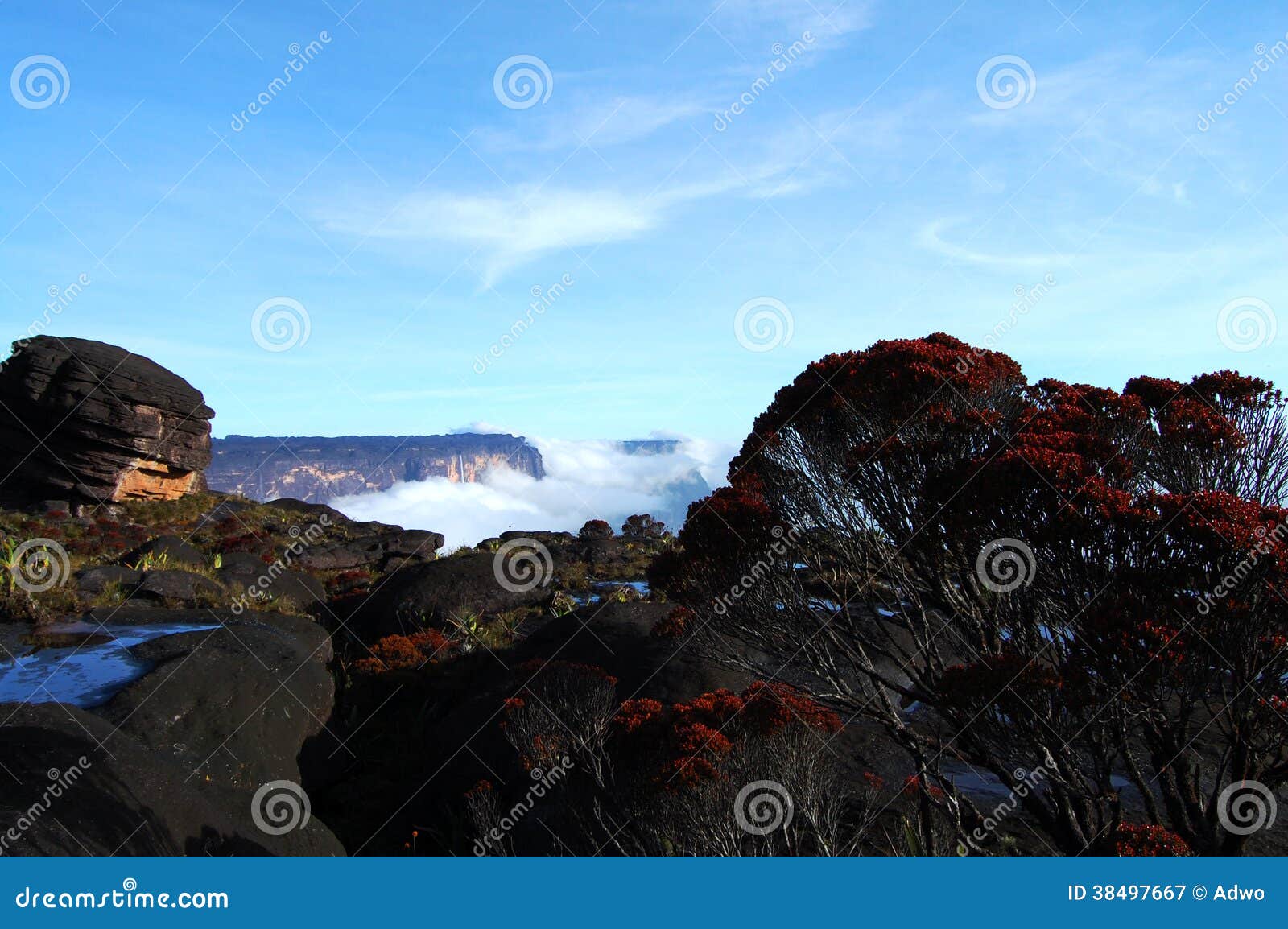 Mount Roraima - Venezuela stock image. Image of ascent - 38497667