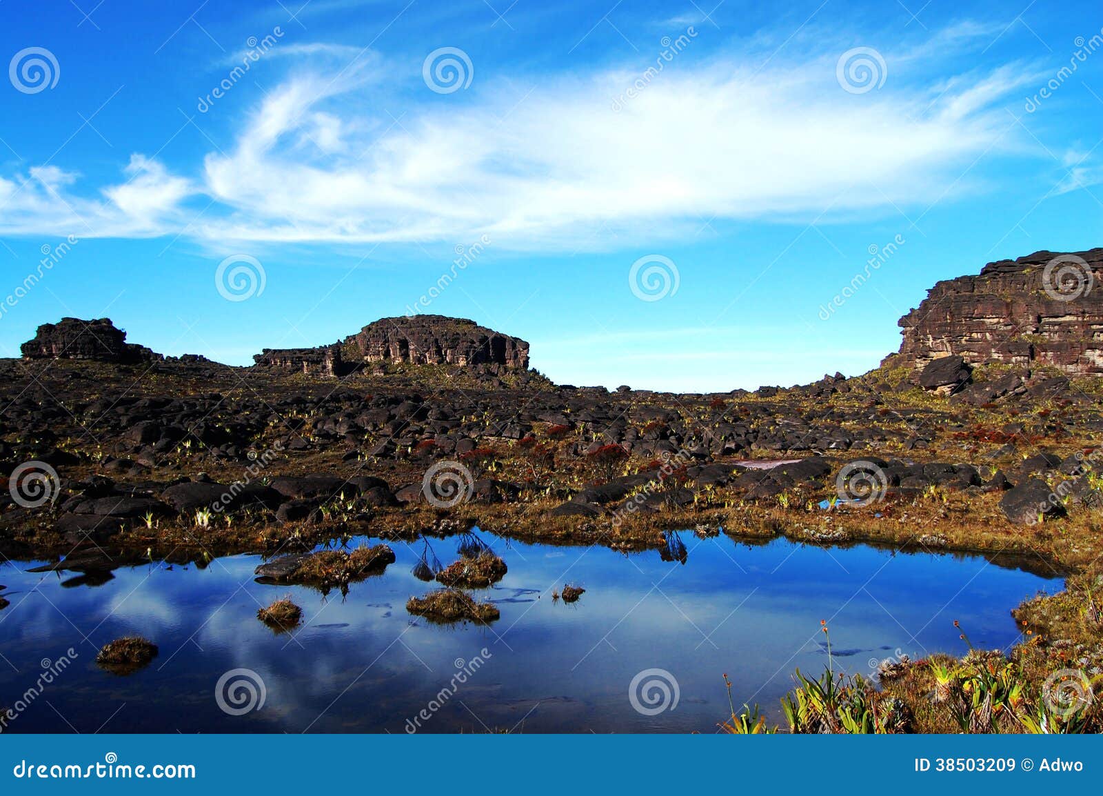 Mount Roraima - Venezuela stock image. Image of guyana - 38503209