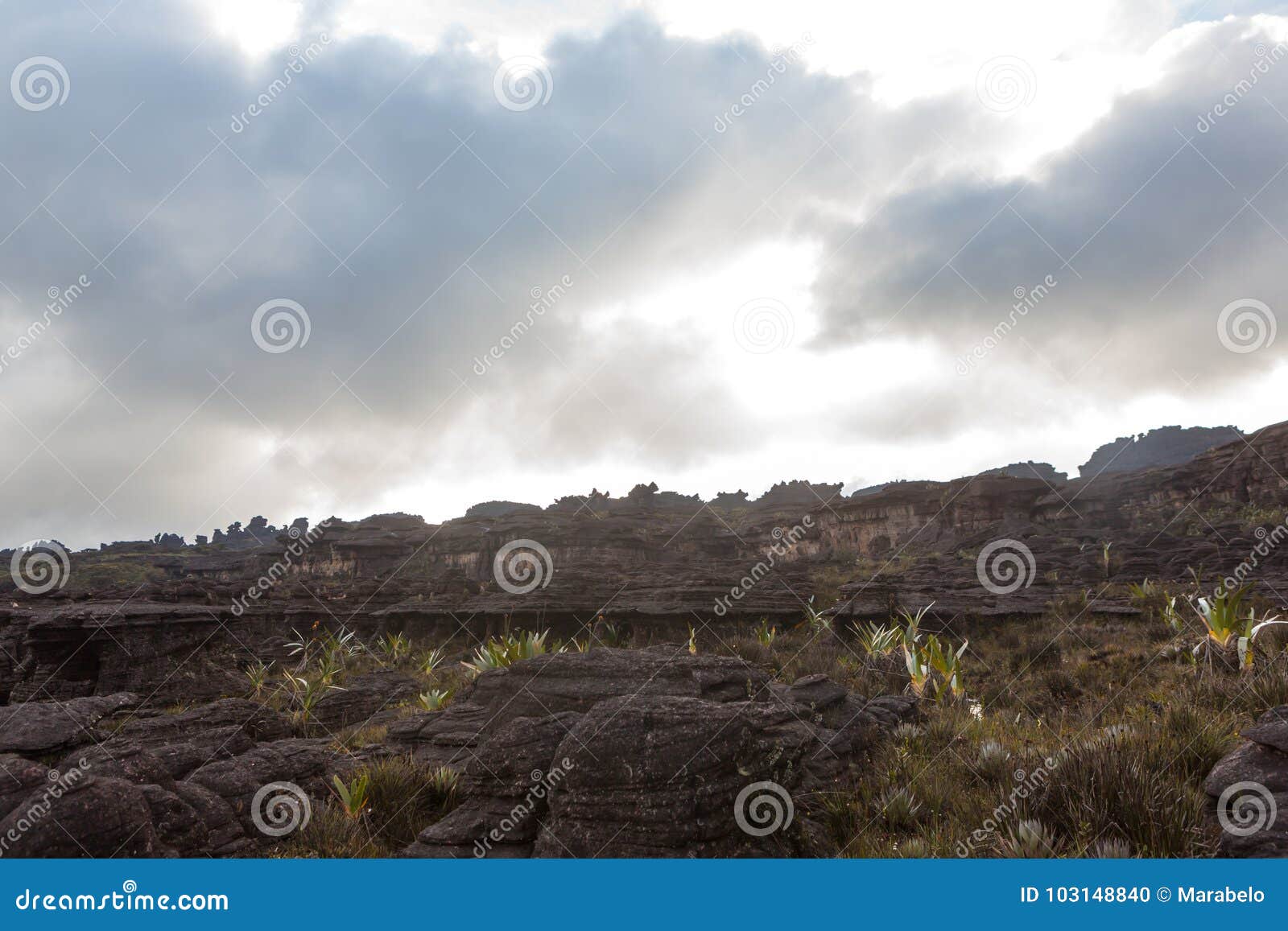Mount Roraima stock photo. Image of highlands, plant - 103148840