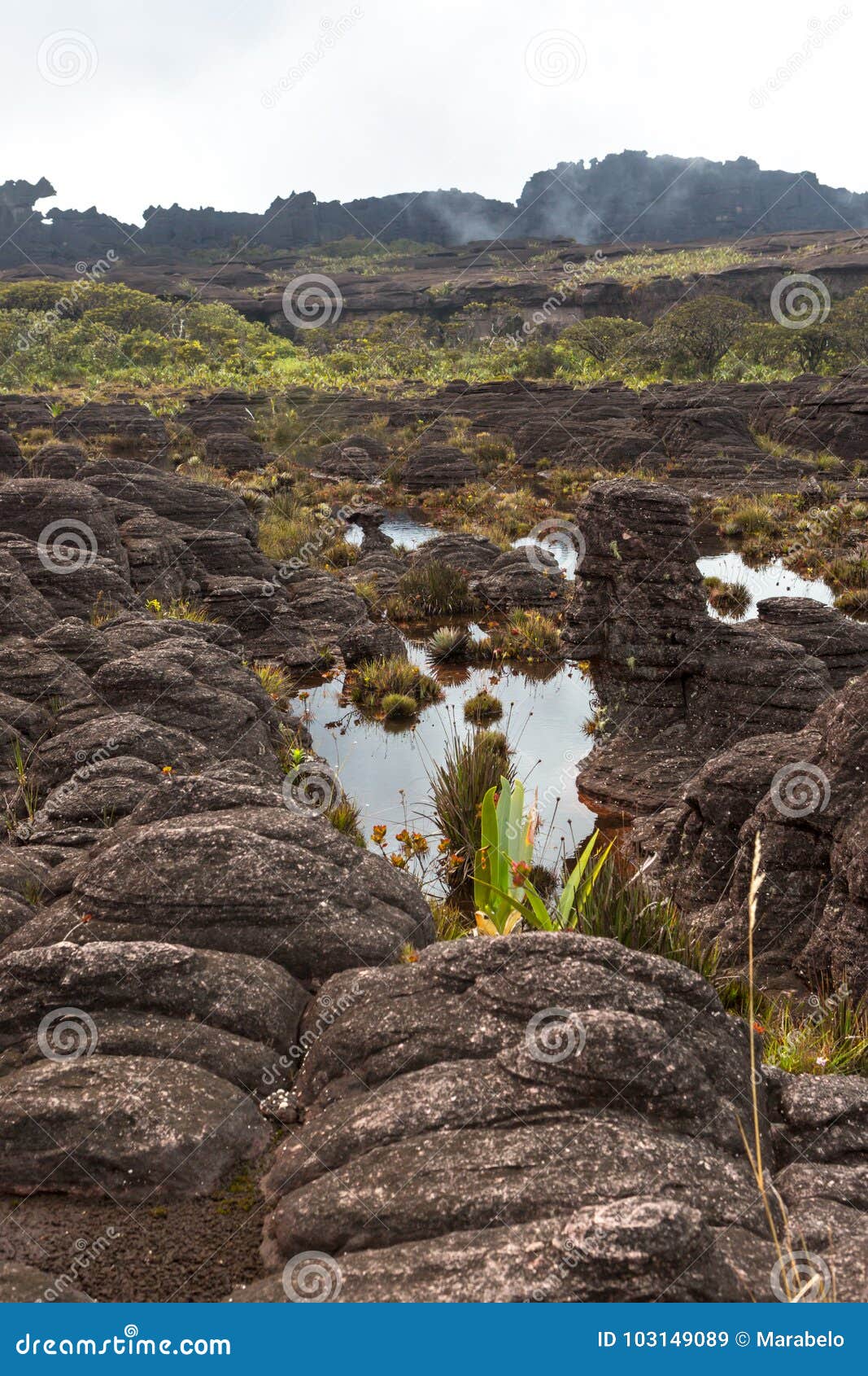 Mount Roraima stock image. Image of climbing, landscape - 103149089