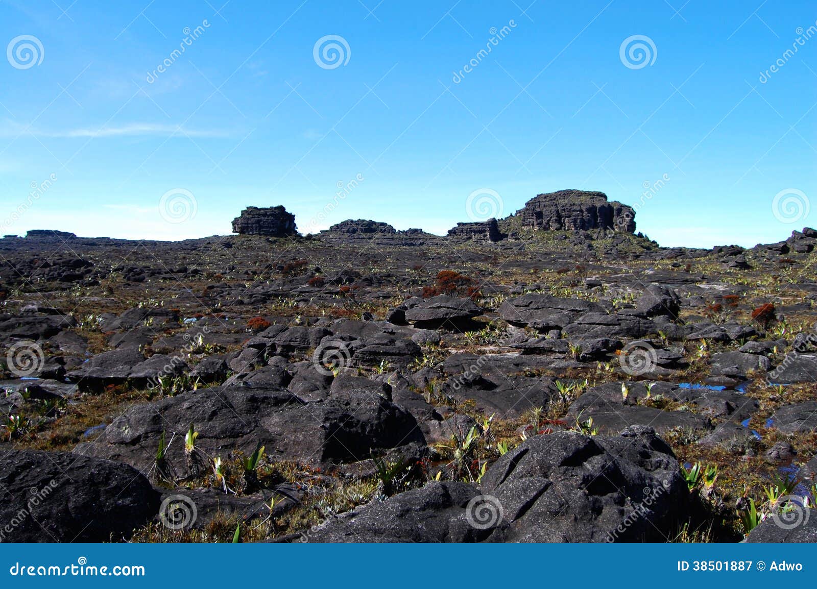 Mount Roraima - Venezuela stock image. Image of magnificent - 38501887