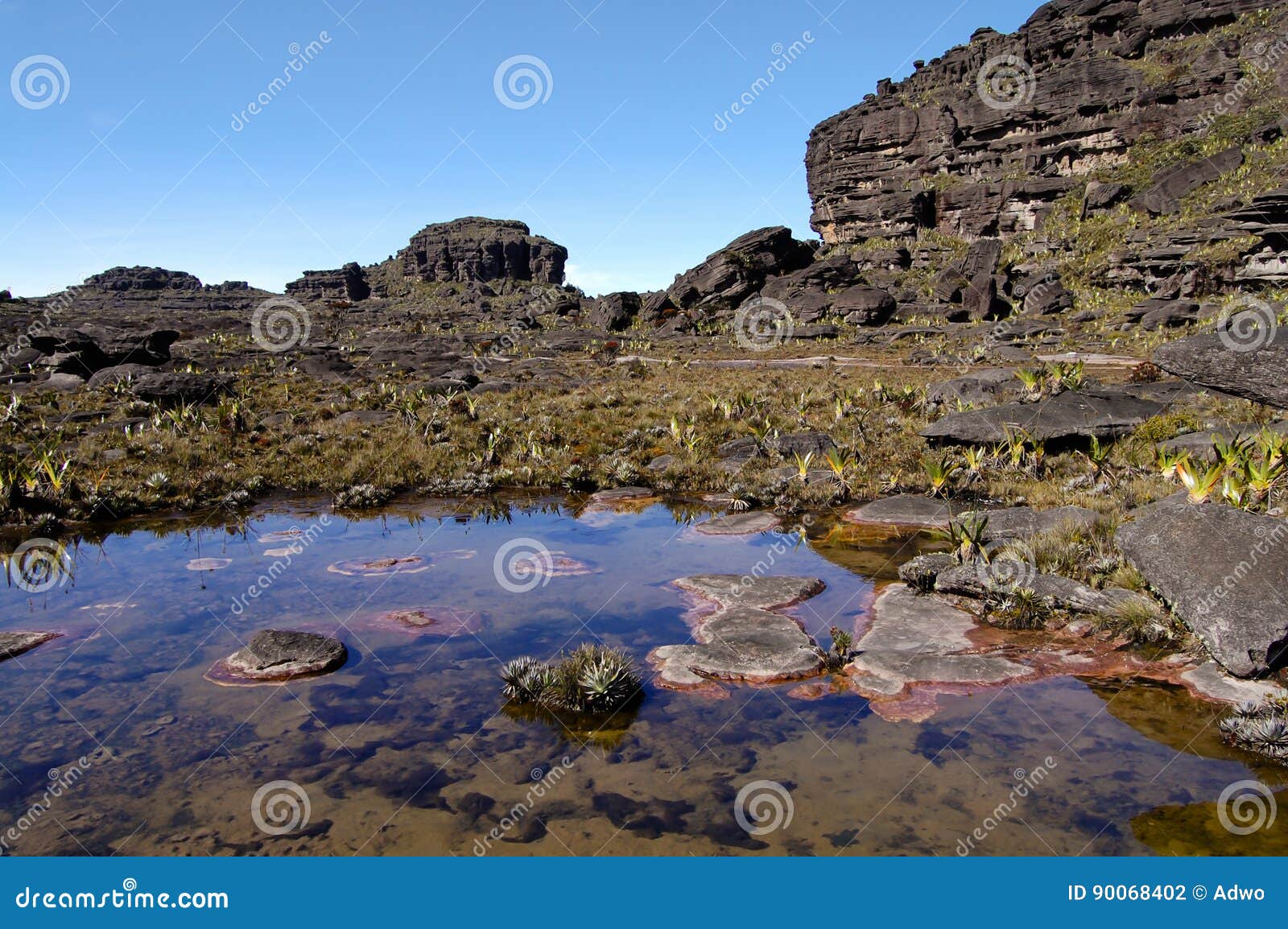 Mount Roraima - Venezuela stock photo. Image of outdoor - 90068402
