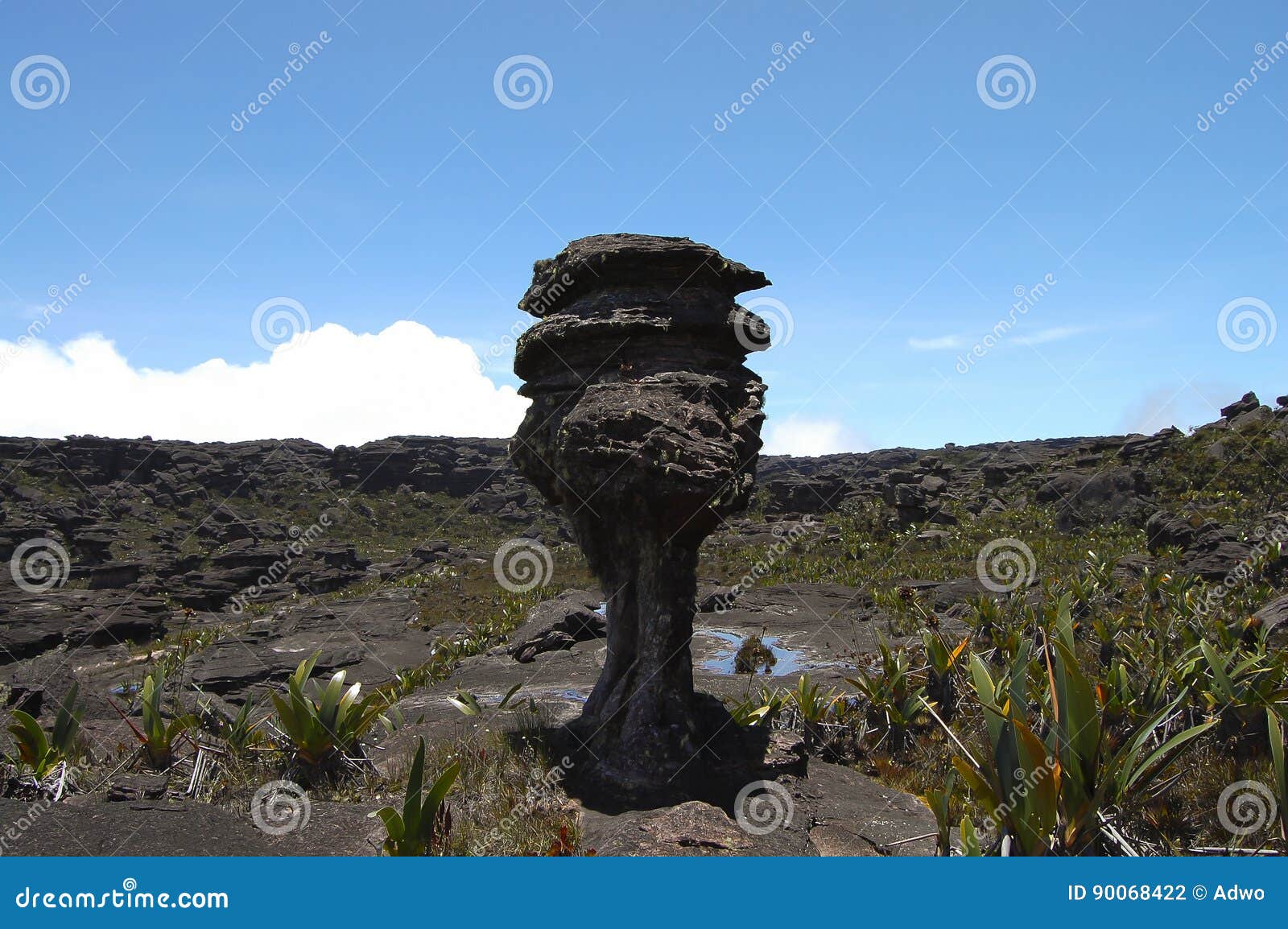 Mount Roraima - Venezuela stock photo. Image of venezuela - 90068422