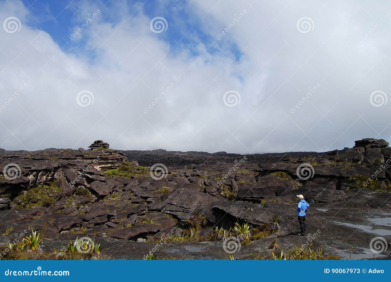 Mount Roraima - Venezuela editorial stock photo. Image of ecotourism ...