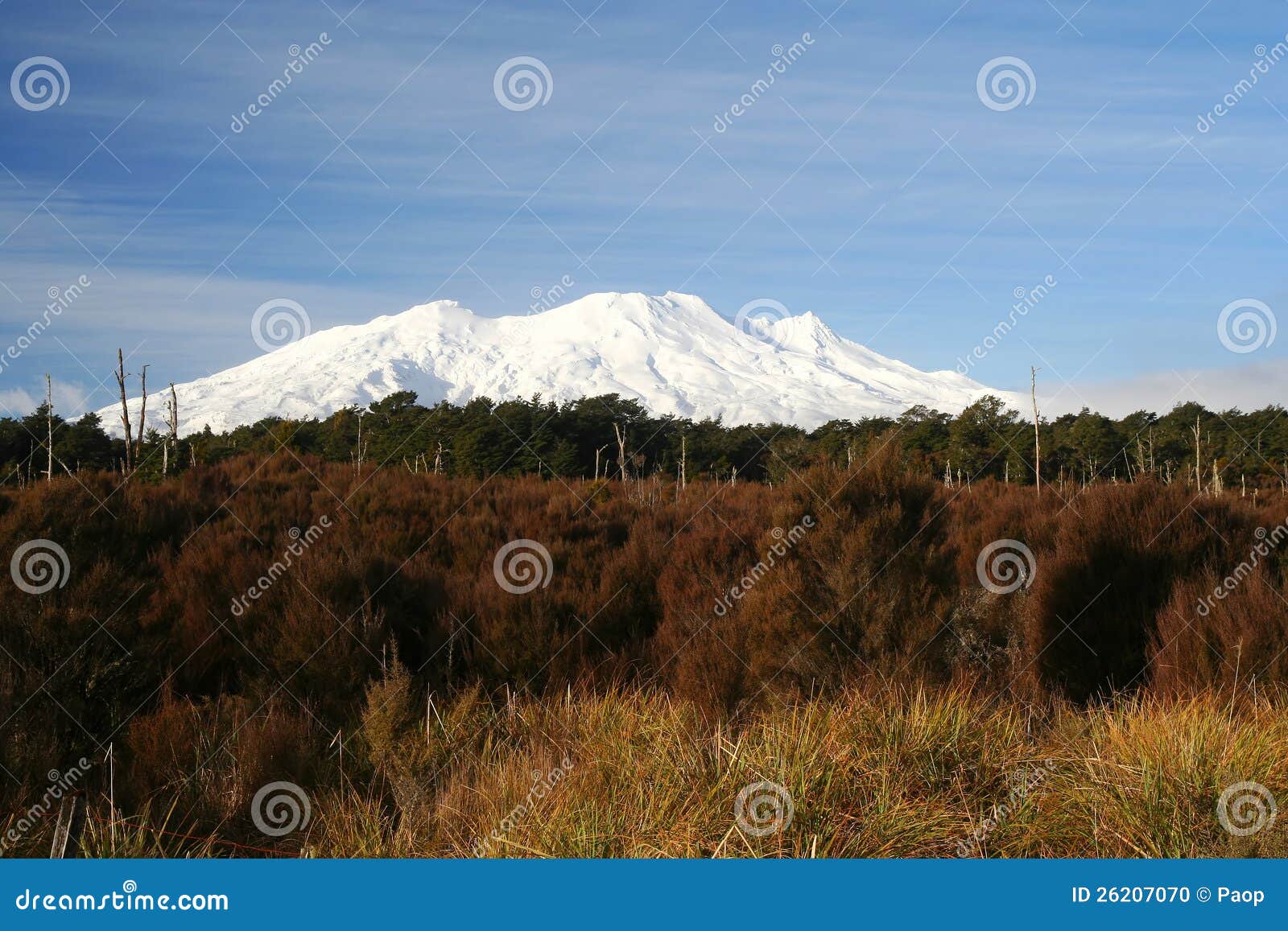 Mount Ruapehu volcano stock photo. Image of grass, calm - 26207070
